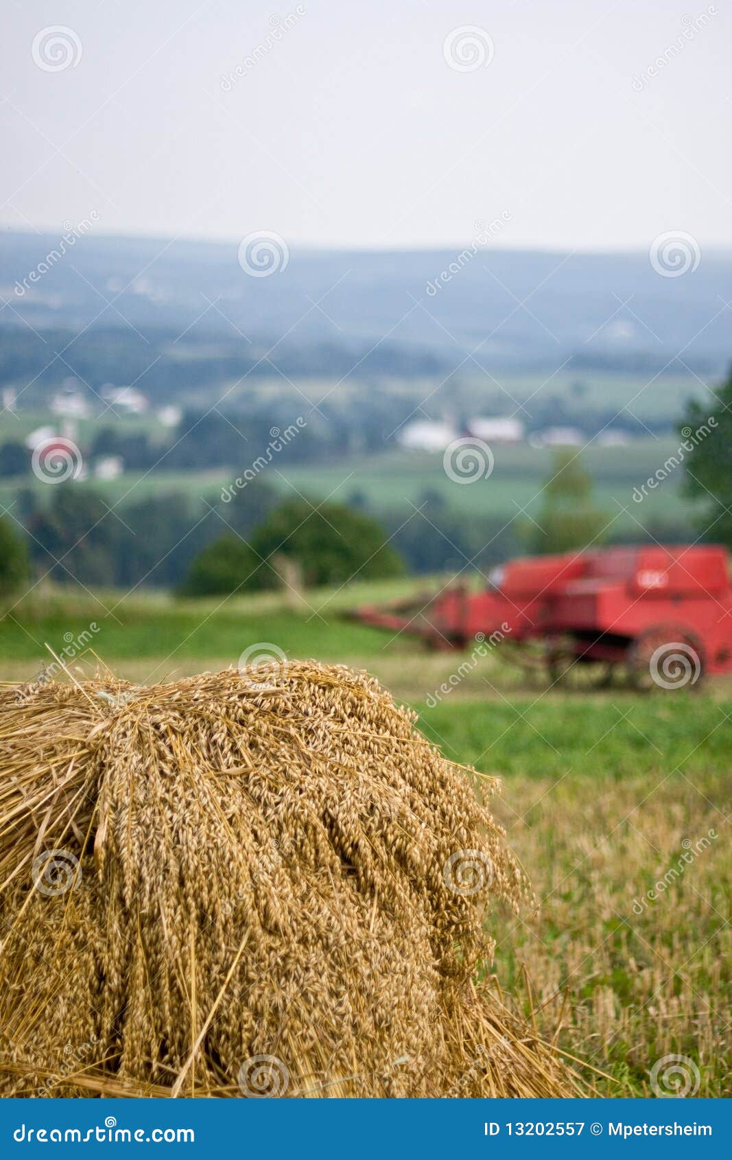 Oat Shock and Old Baler stock image. Image of reaping - 13202557