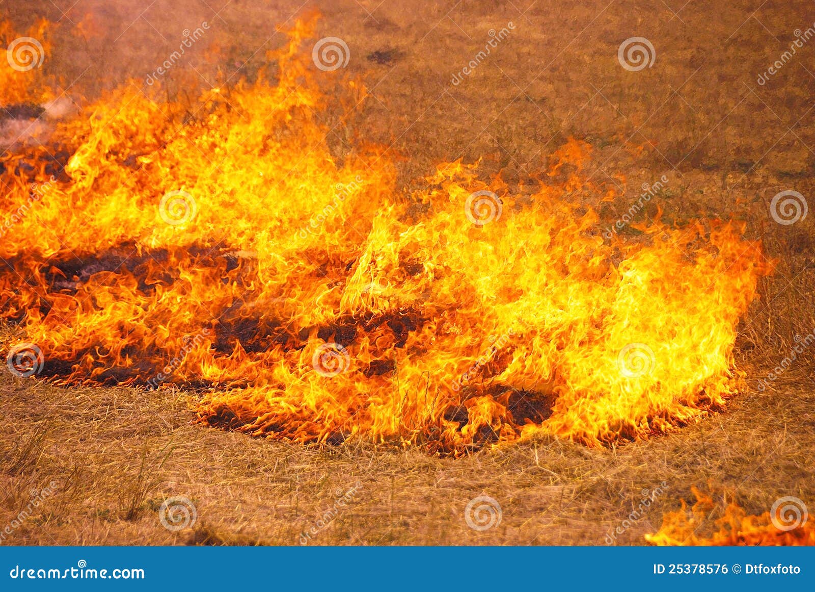 Oat Stubble Fire stock photo. Image of flammable, burn - 25378576
