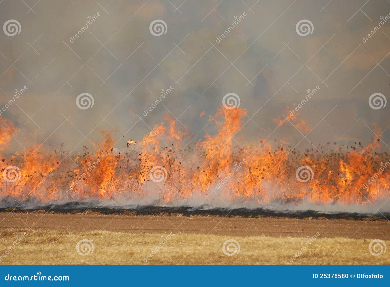 Oat Stubble Fire stock photo. Image of dangerous, abstract - 25378580