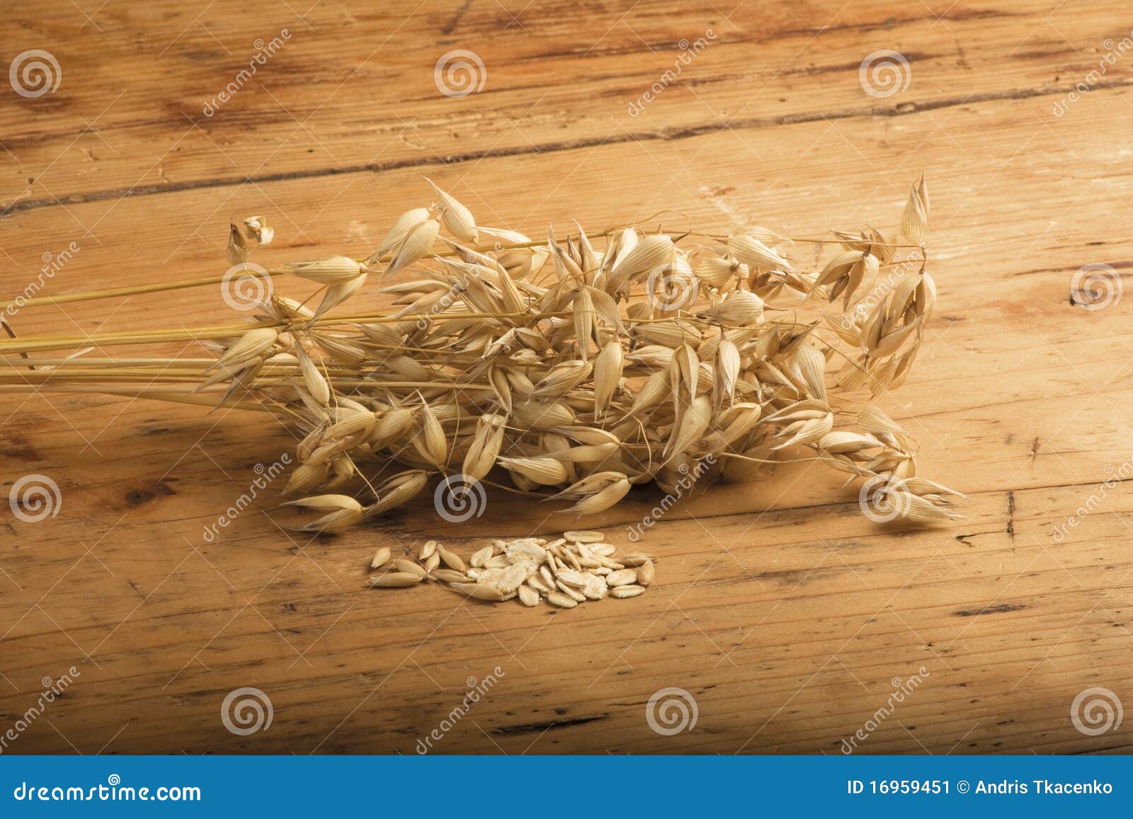 Oat on table stock image. Image of sorts, horizontal - 16959451