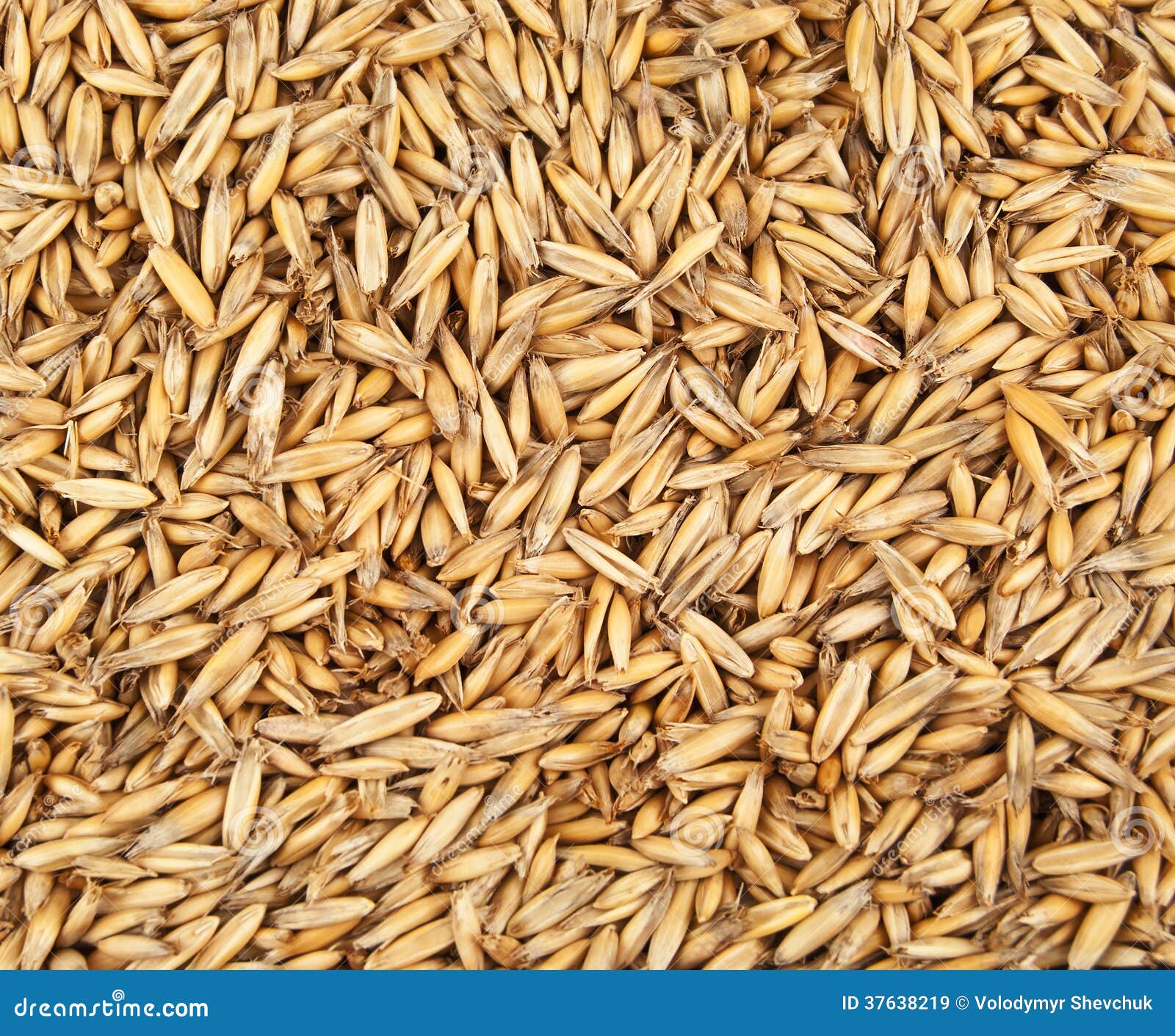 Oat texture stock image. Image of grains, eating, harvest - 37638219