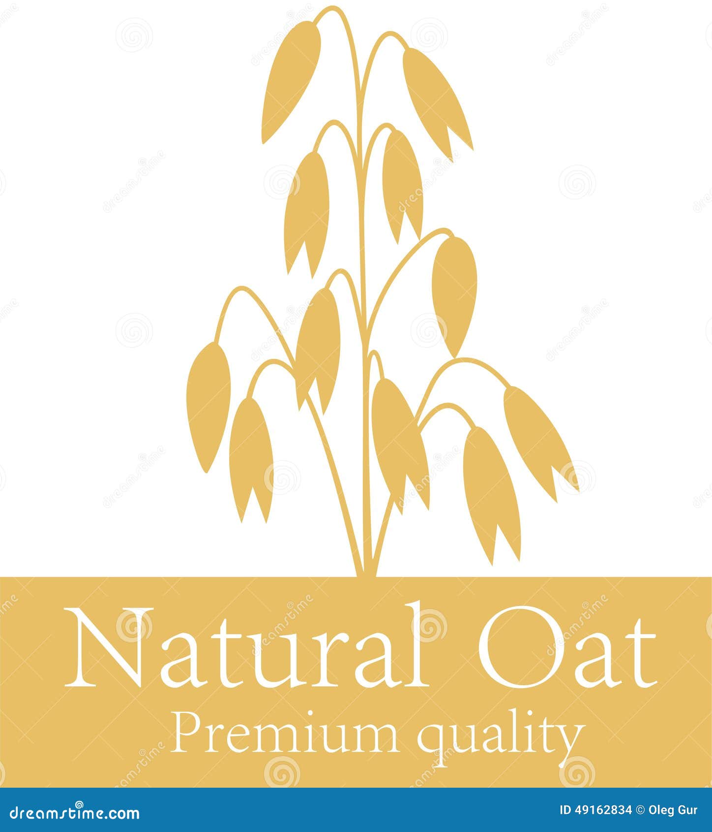 Oat stock vector. Illustration of food, flour, vector - 49162834
