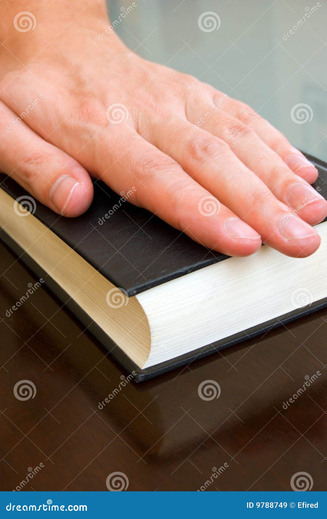 Oath stock image. Image of book, truth, justice, eyewitness - 9788749