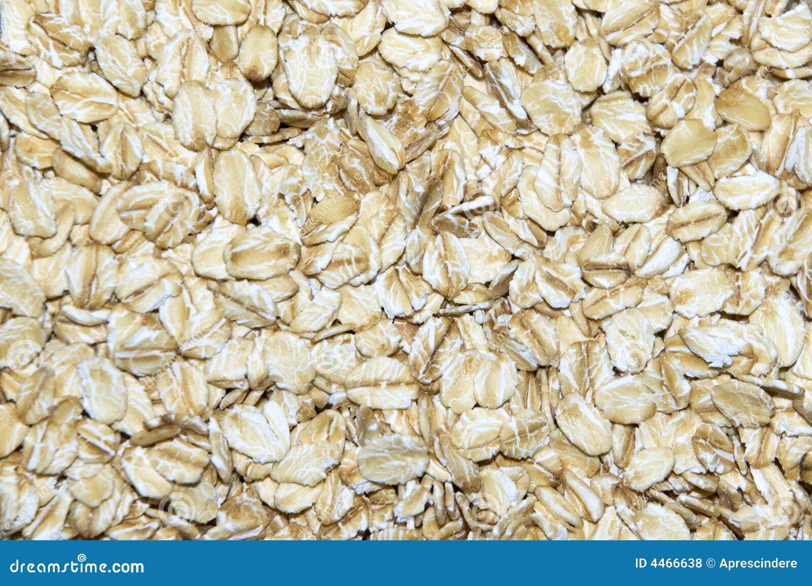 Oats stock photo. Image of food, health, light, bread - 4466638