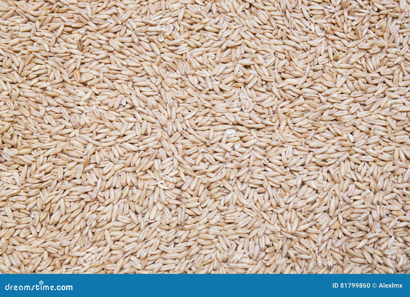 Oats background, texture stock photo. Image of cook, culture - 81799860