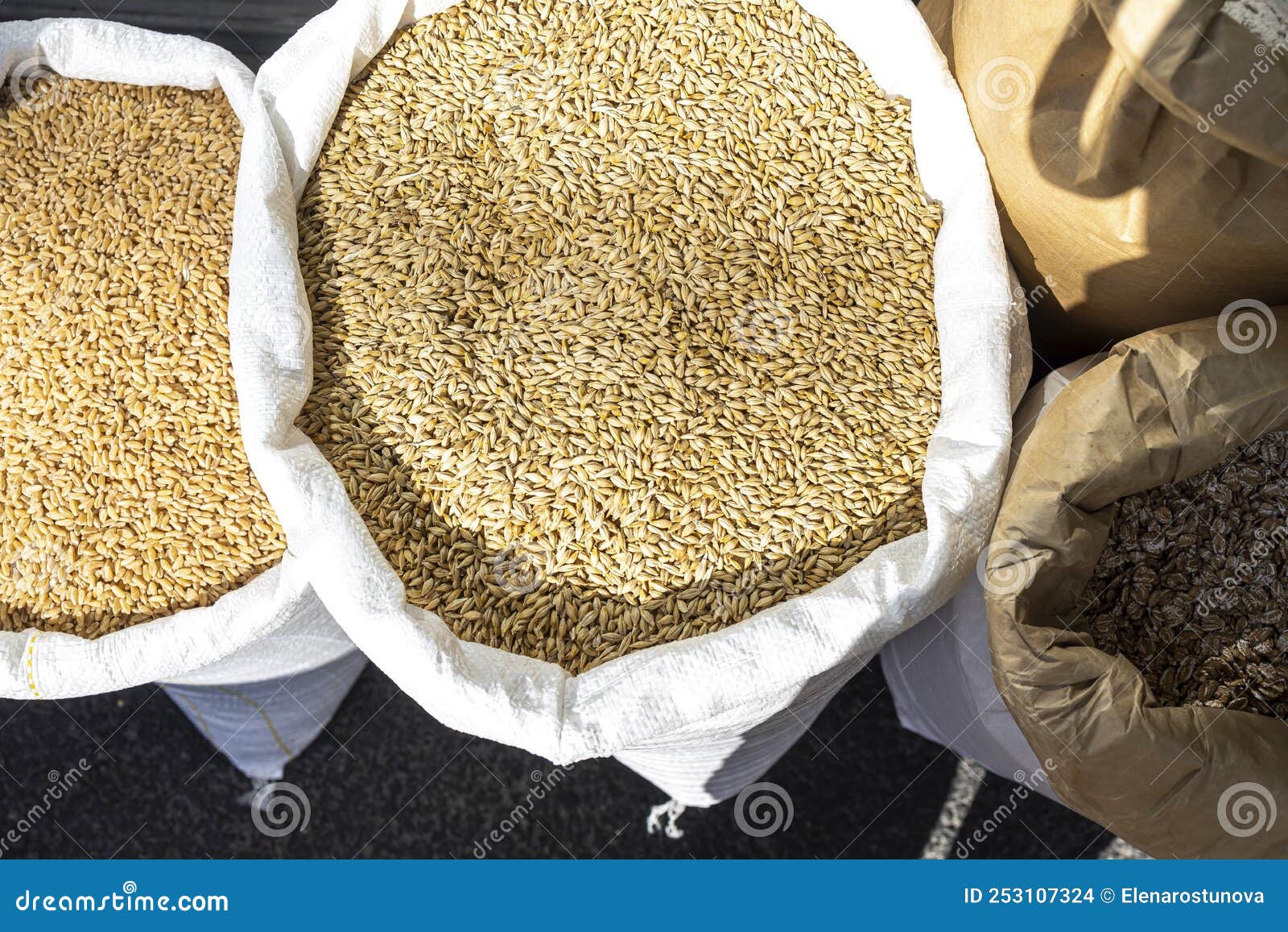 Oats in a bag for sale stock photo. Image of heap, food - 253107324