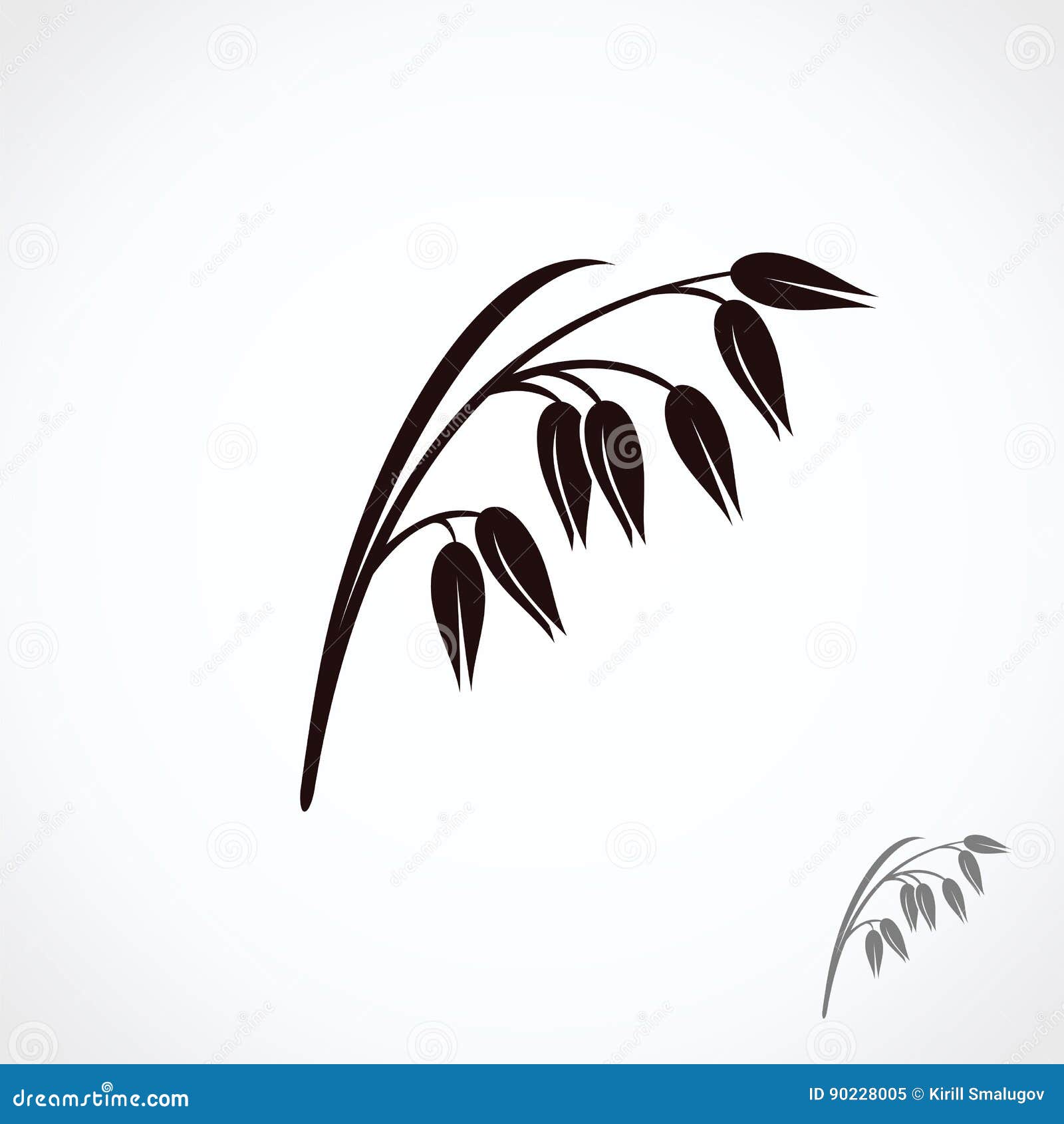 Oats Collection Set. Vector Stock Vector - Illustration of nature ...