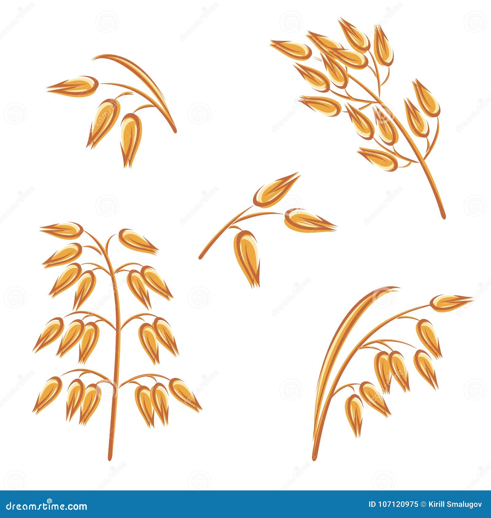 Oats Collection Set. Vector Stock Vector - Illustration of design, text ...