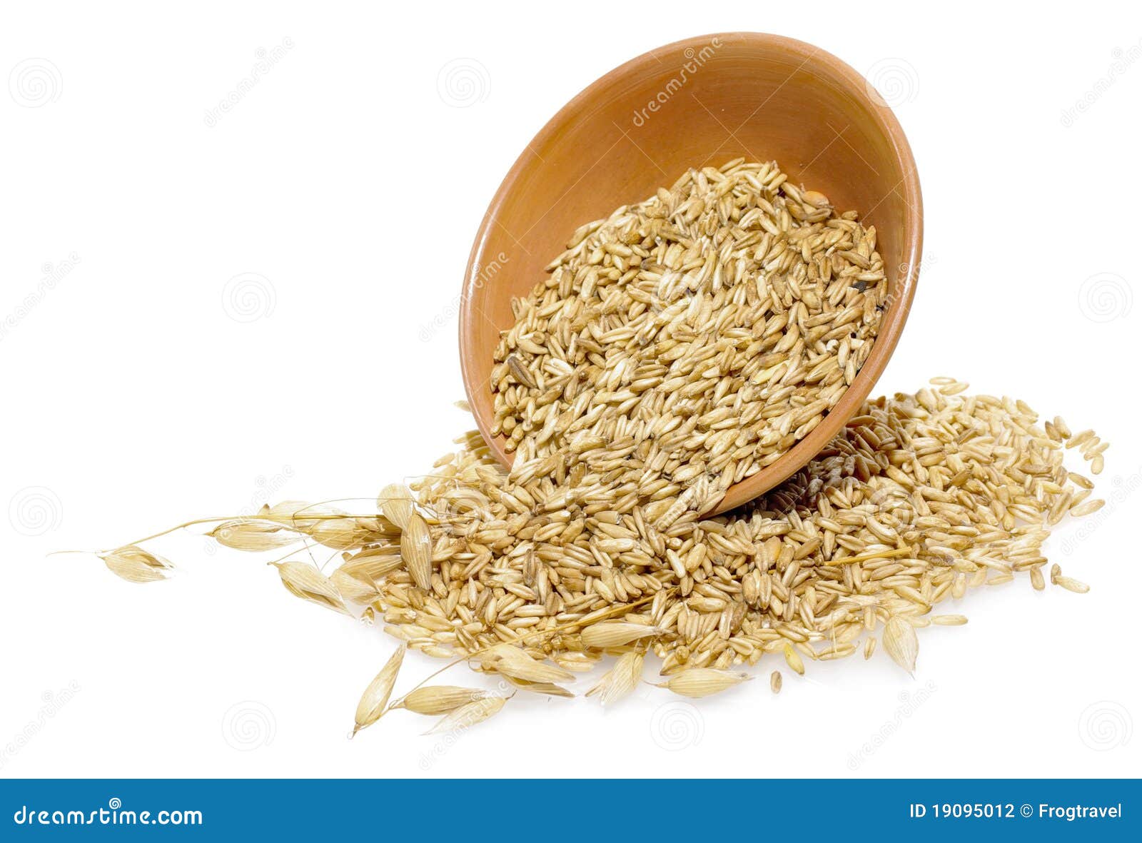 Oats grains stock photo. Image of crop, meal, fitness - 19095012