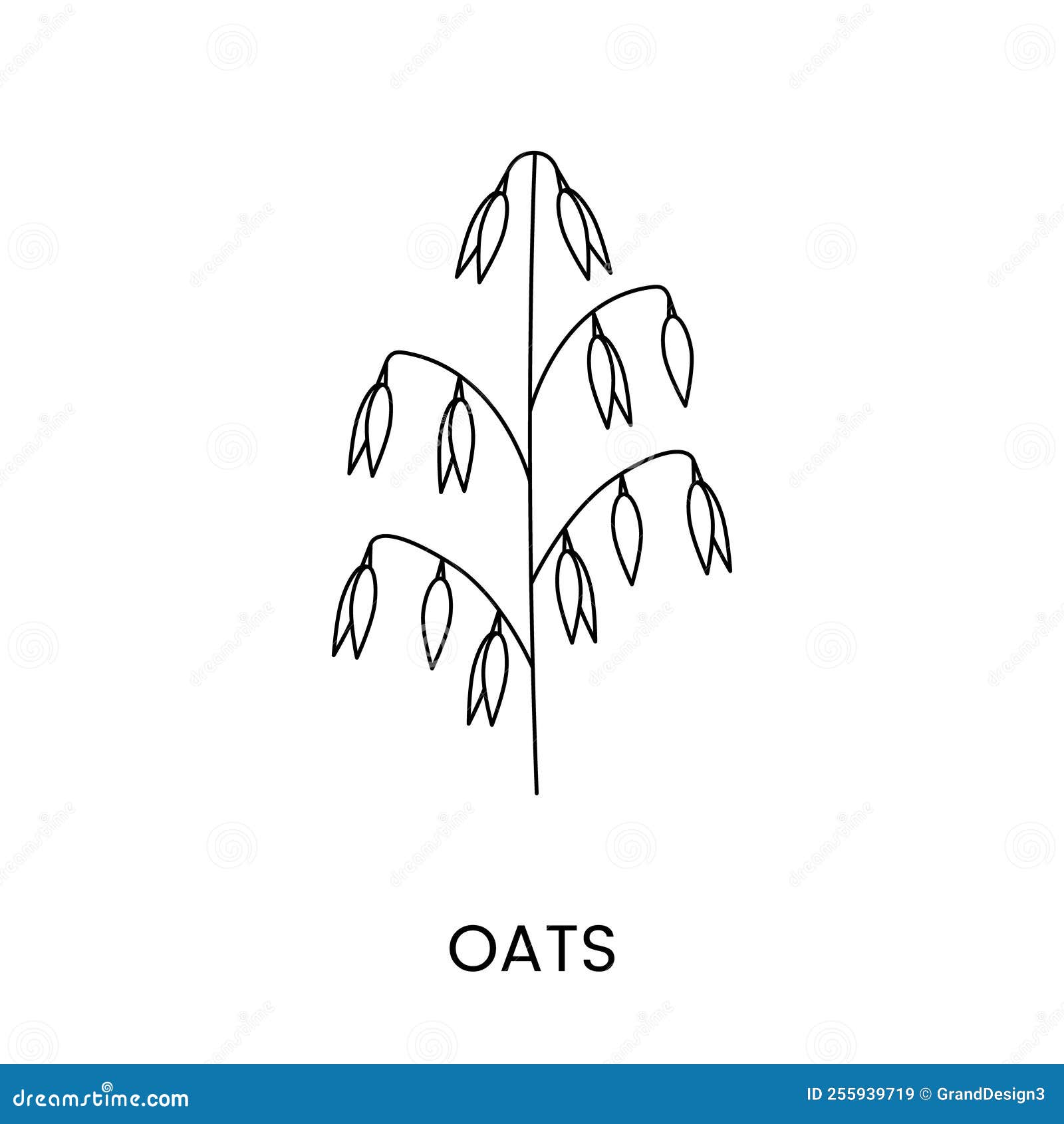 Oats Cereal Ears, Grain In Sack And Porridge In Glass Jar. Vector ...