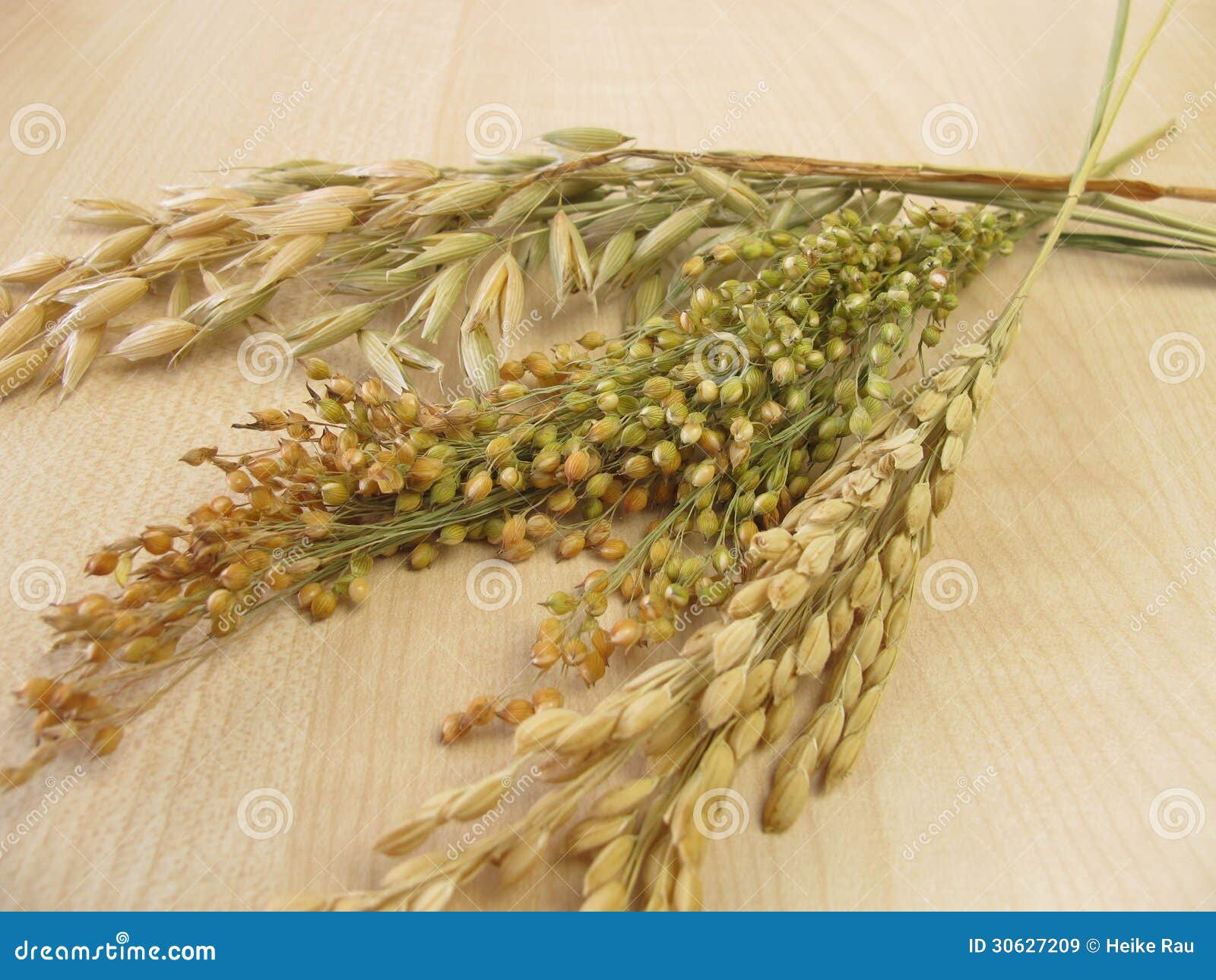 Oats, rice and millet stock image. Image of oats, supplement - 30627209