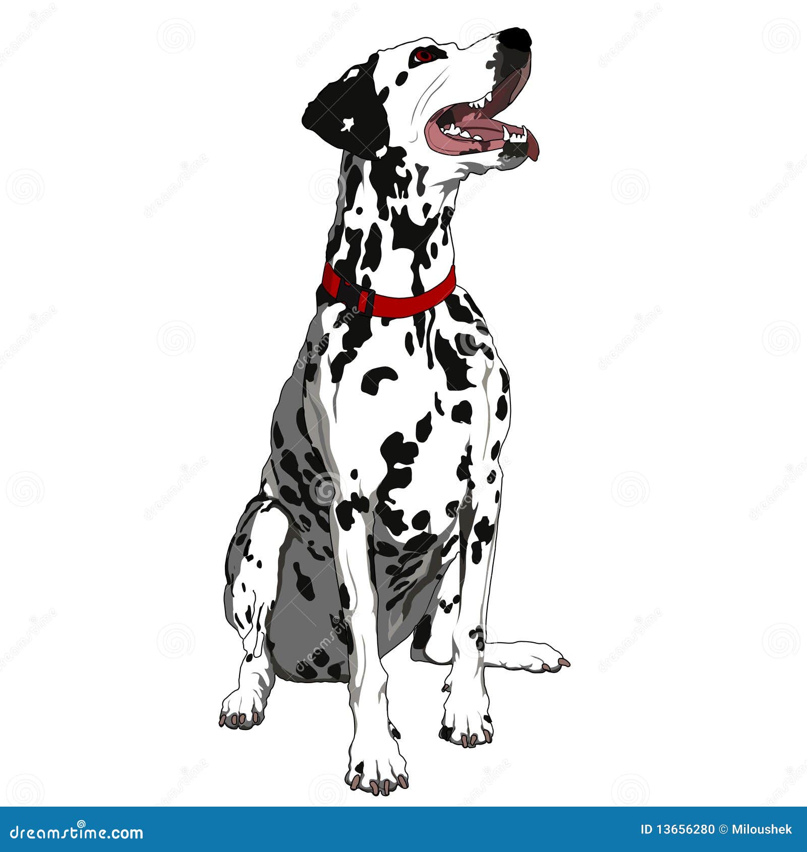 Obedient Dalmatian stock vector. Illustration of dotted - 13656280