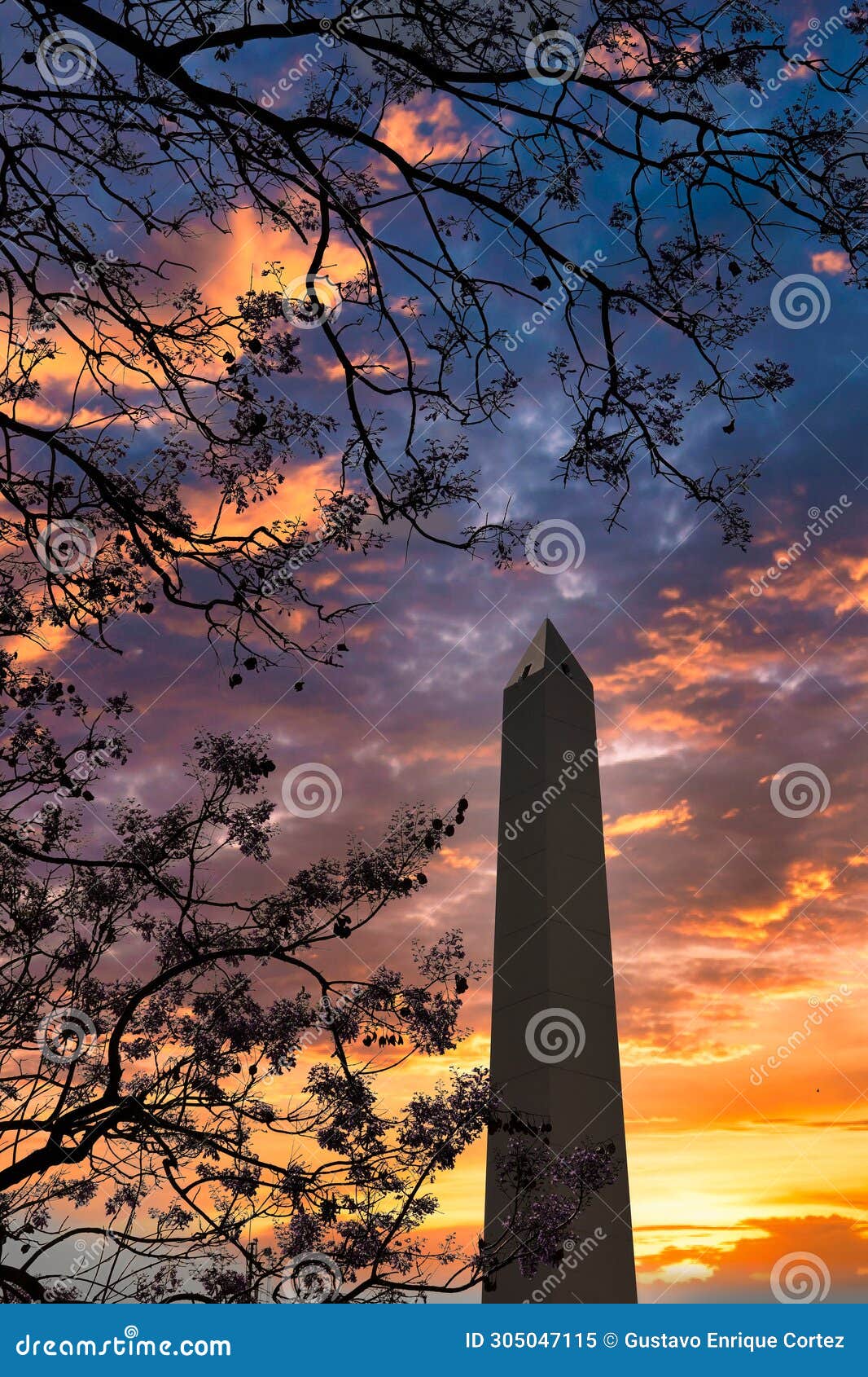 Obelisk of Buenos Aires at Sunset with Jacaranda Trees Stock Image ...