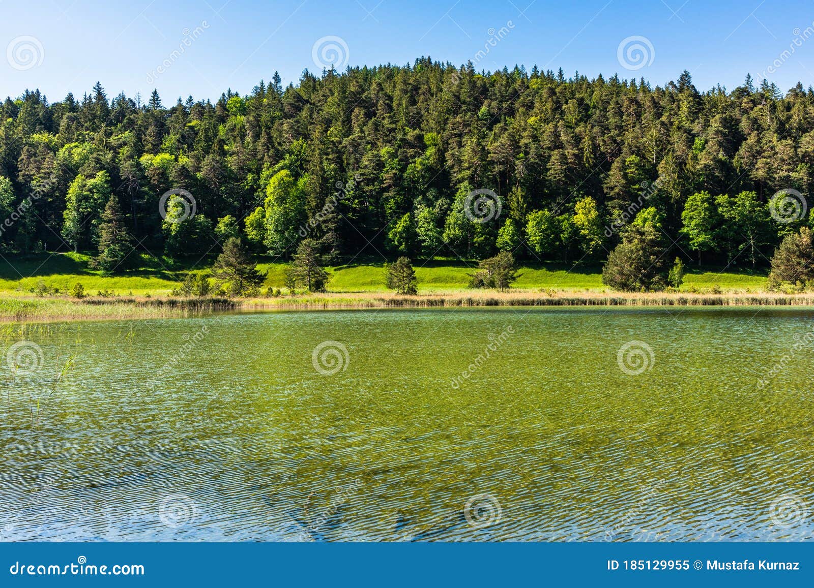 Obersee no algau imagem de stock. Imagem de vale, exterior - 185129955