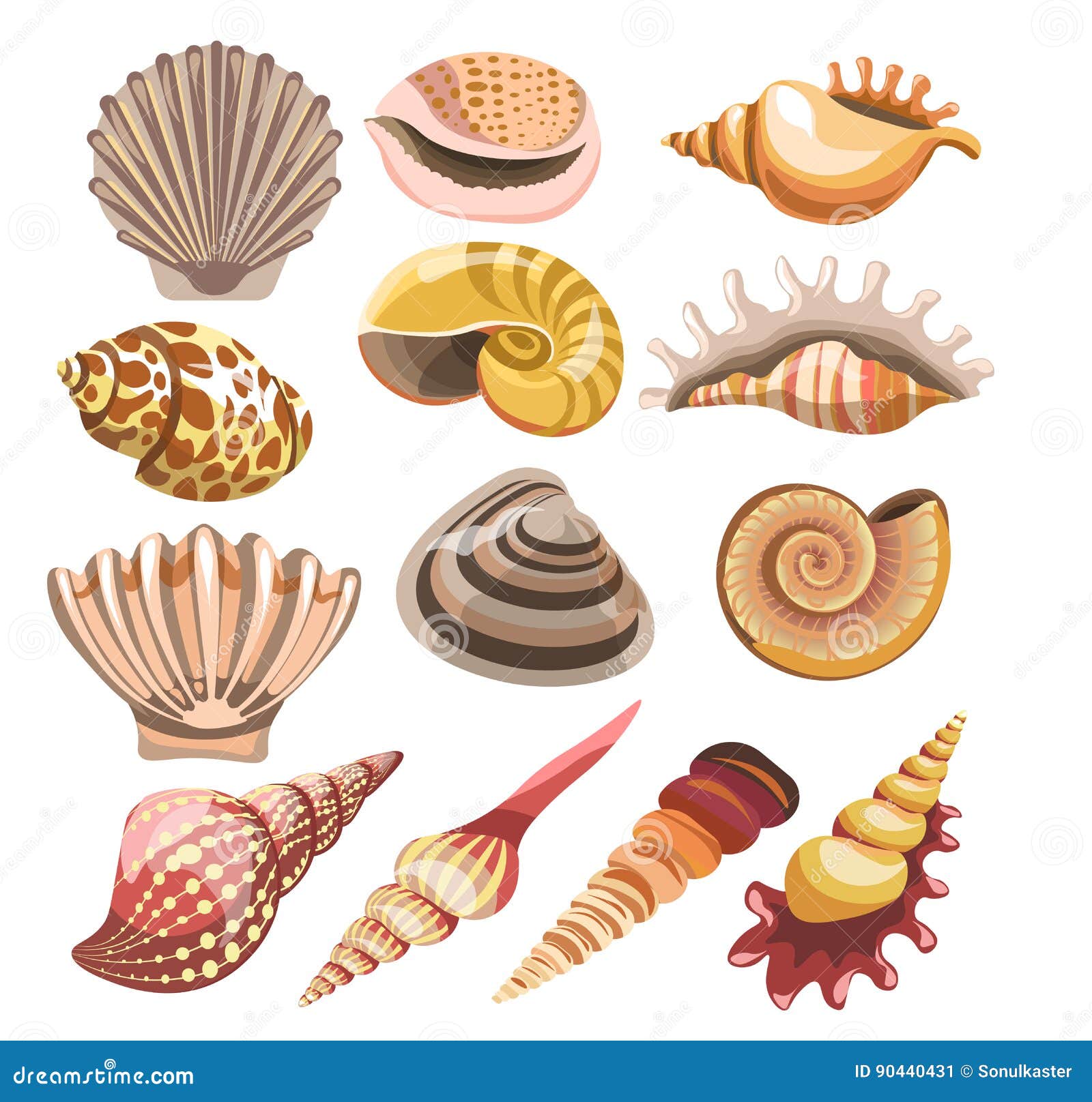 Oberteile Oder Lokalisierte Ikonen Der Muscheln Vektor Vektor Abbildung ...