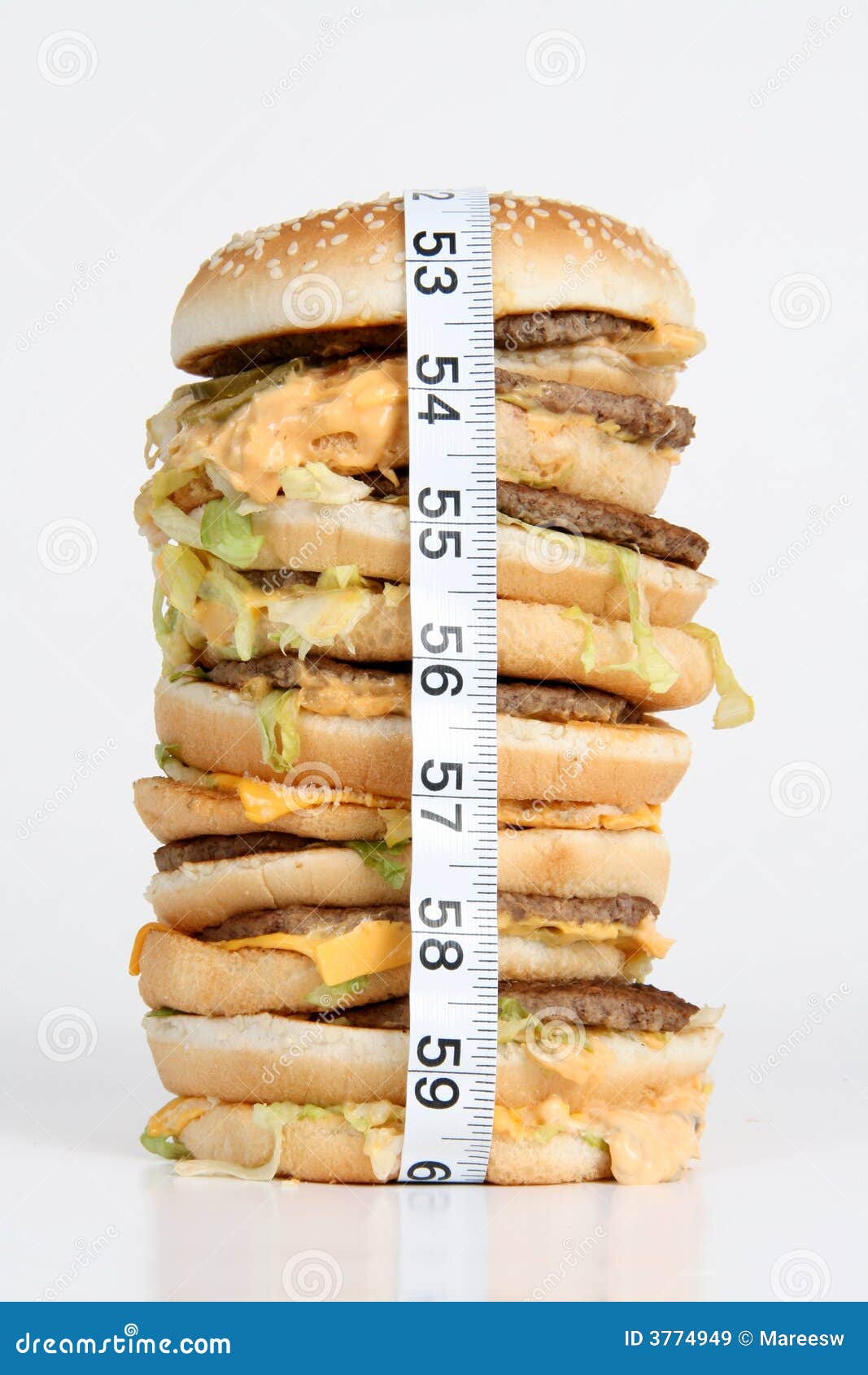 Obese Burger stock image. Image of burger, cheese, massive - 3774949