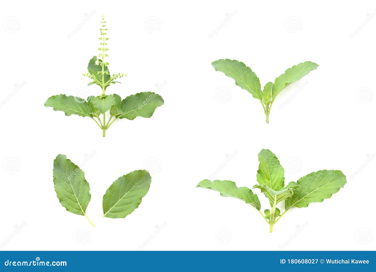 Object stock image. Image of healthy, closeup, agriculture - 180608027