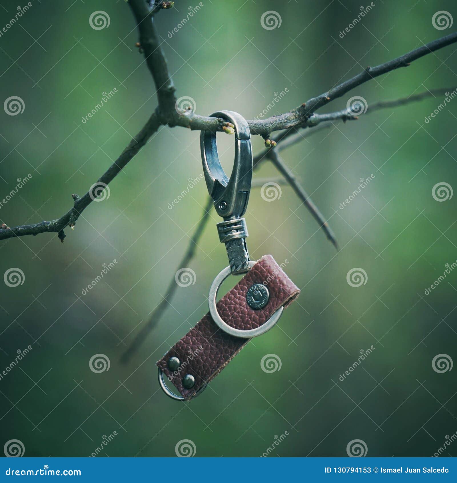 Object in the Branch Abandoned Stock Image - Image of outdoor, ornament ...