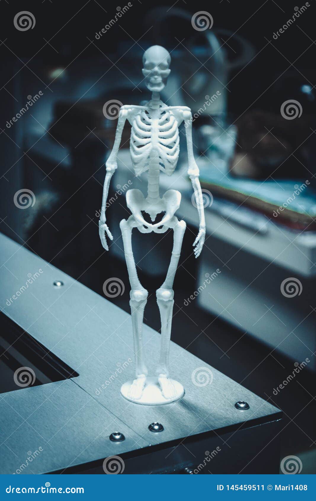 Object Human Skeleton Printed by 3d Printer. Stock Image - Image of ...