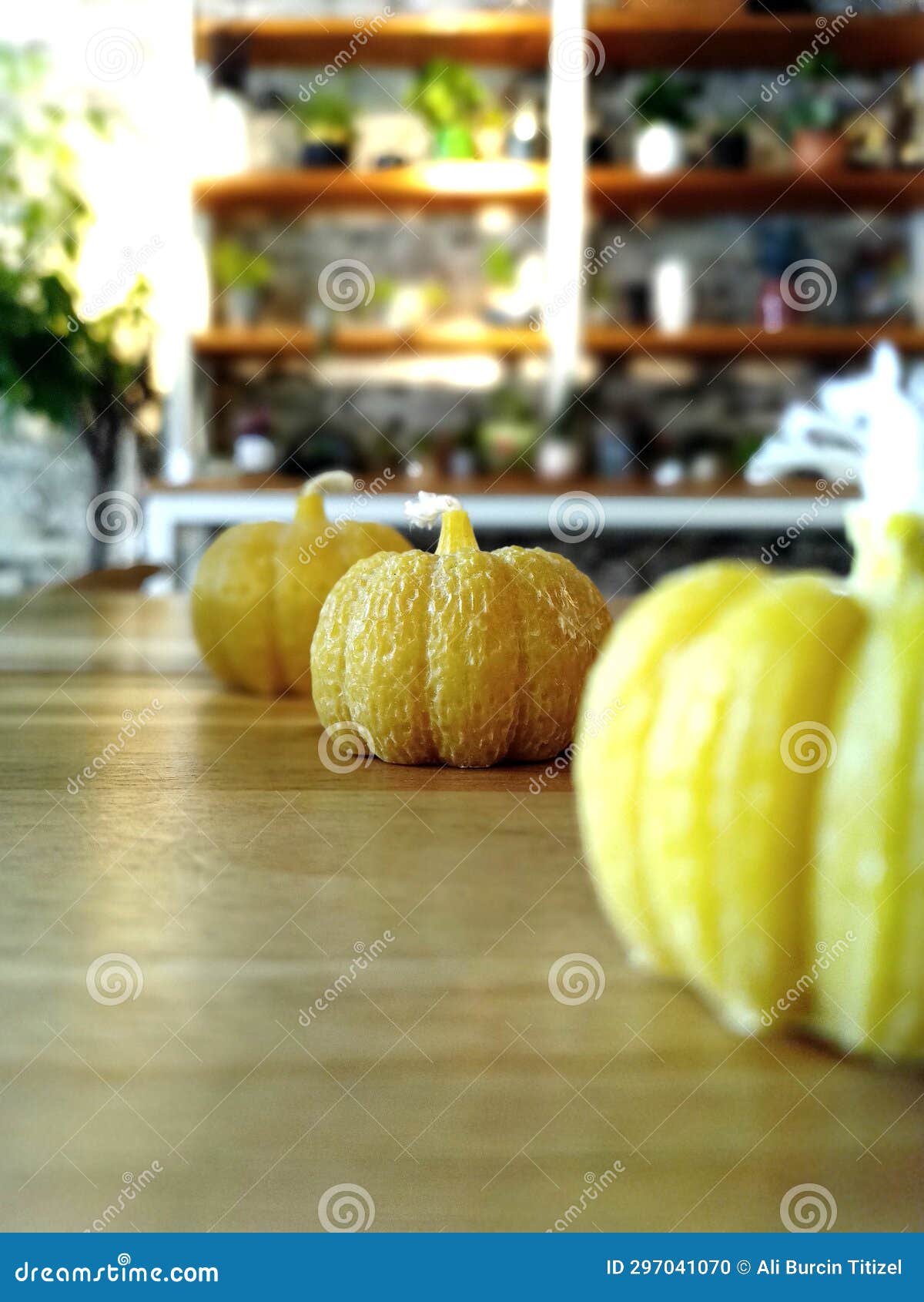 Object in a Row Depth of Field Stock Photo - Image of colored ...