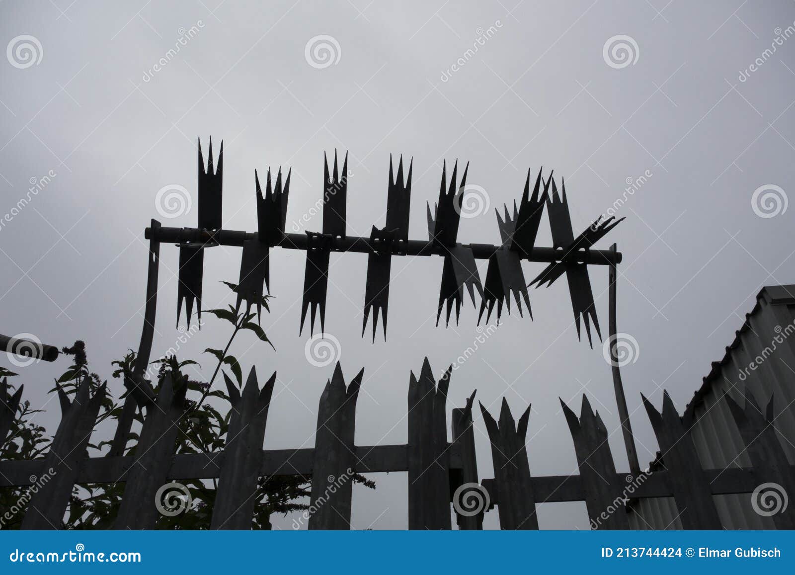 Object in a Sharp or Pointed Shape or Form Stock Photo - Image of plan ...