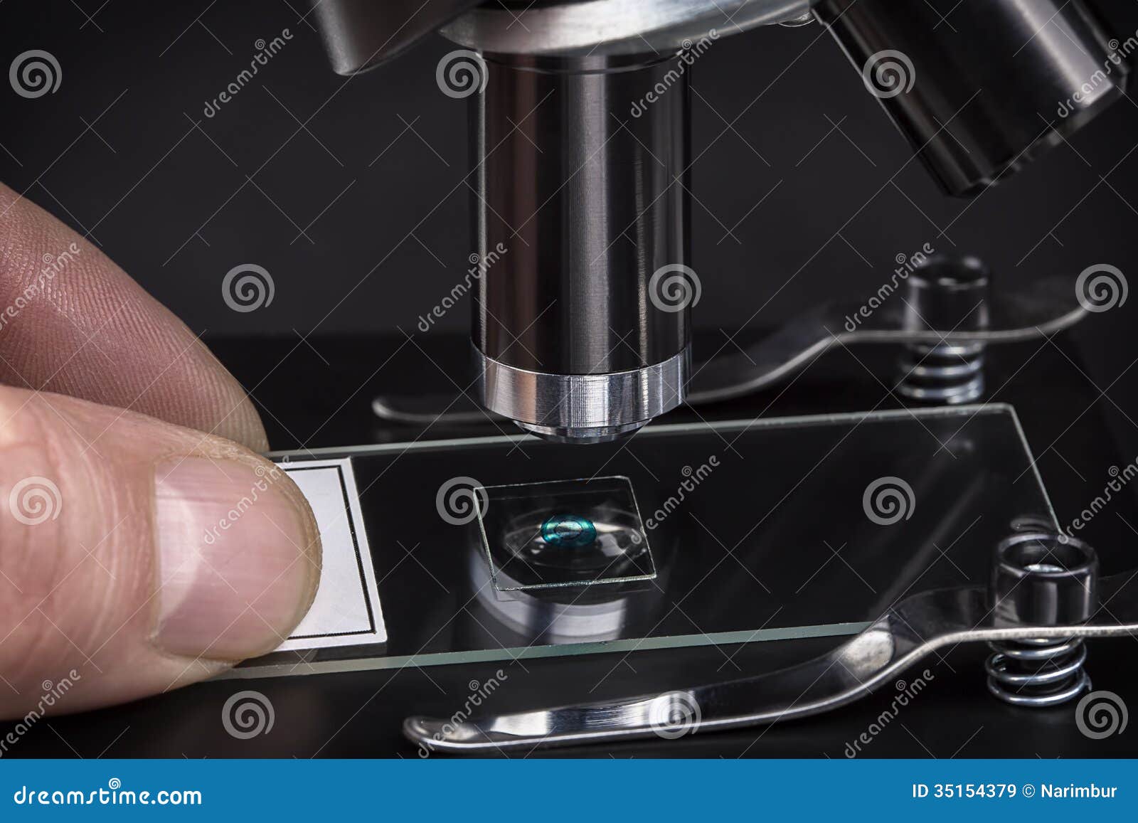 Object Slide Under Microscope Lens Stock Photos - Free & Royalty-Free ...