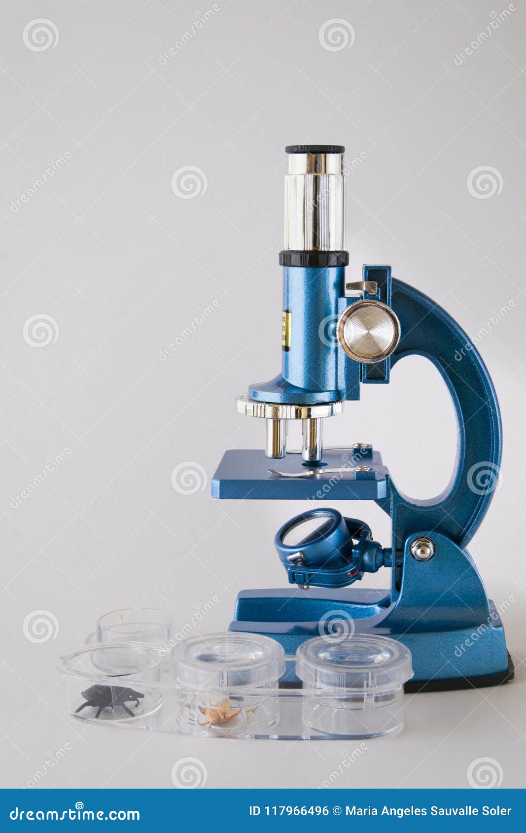 Microscope. stock photo. Image of science, lenses, insects - 117966496