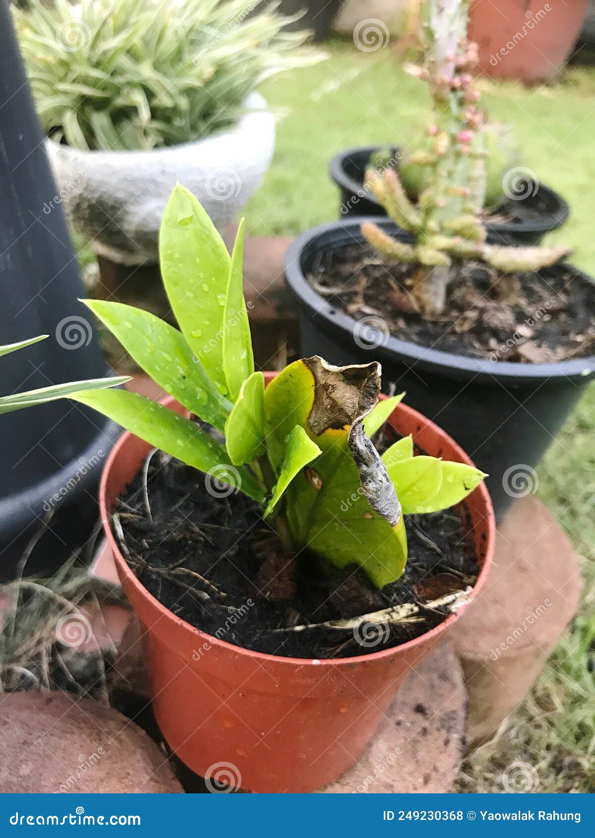 Objective of Texture Pattern Background Concept Stock Photo - Image of ...