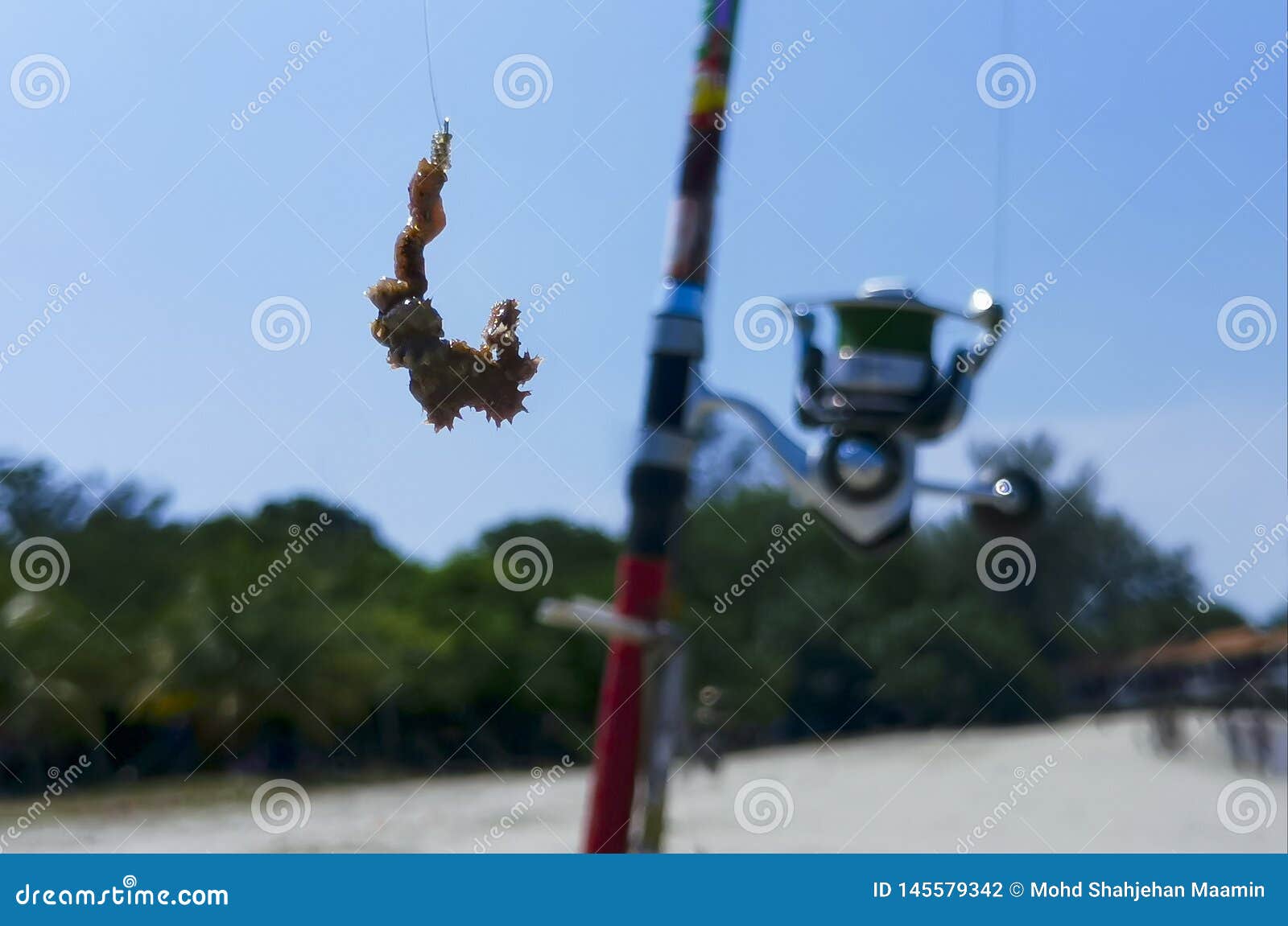 Objects stock photo. Image of fish, fishing, bait, rope - 145579342