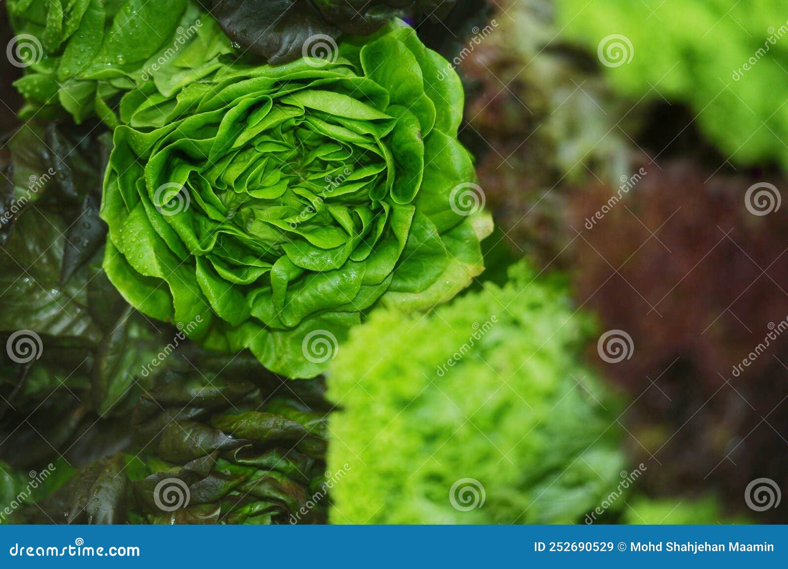 Objects and food stock image. Image of business, motion - 252690529