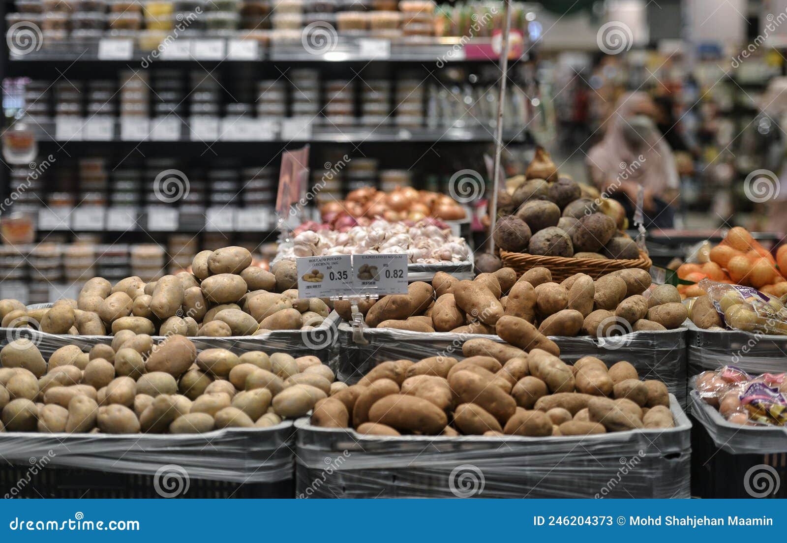 Objects and industrial stock image. Image of dennstaedtiaceae - 246204373