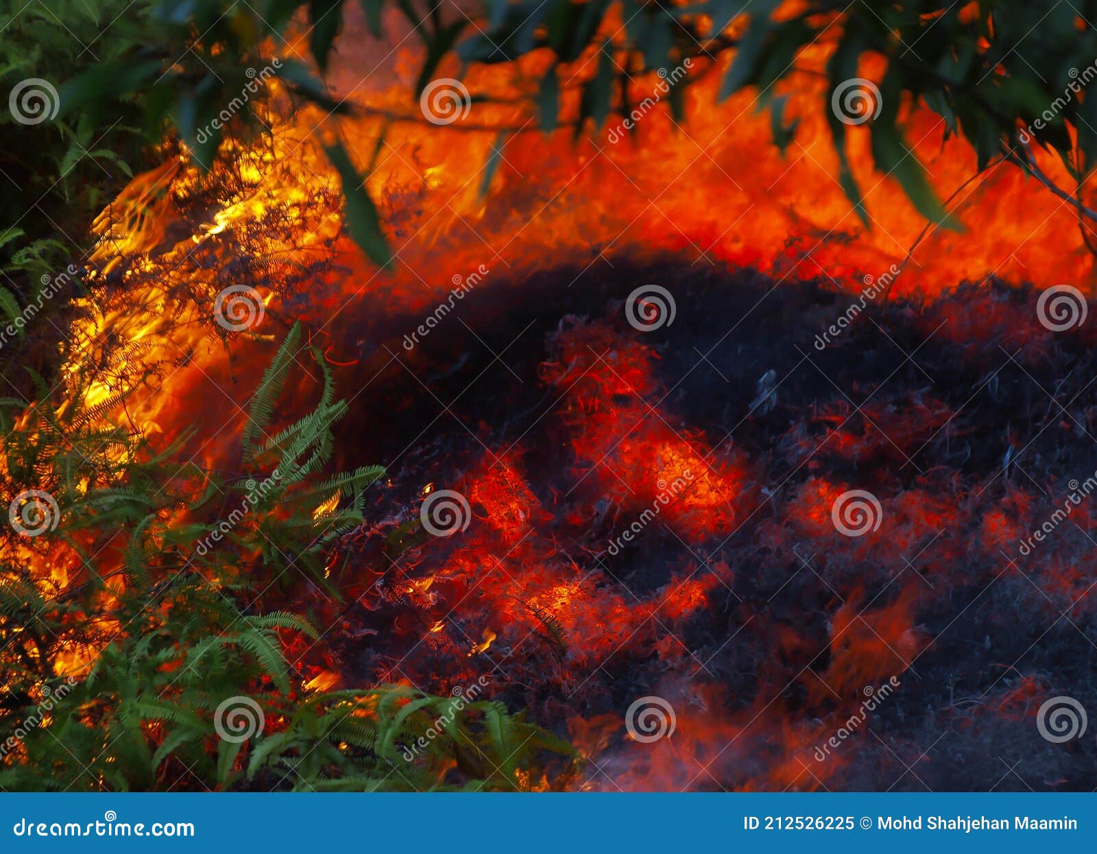 Objects and Nature stock image. Image of place, destroy - 212526225