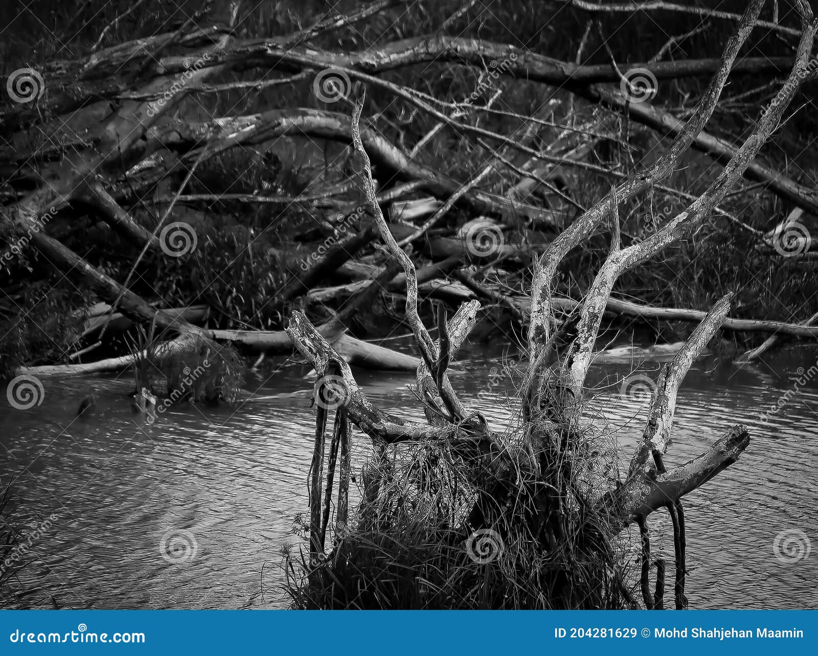 Objects and outdoor stock image. Image of lake, outdoor - 204281629