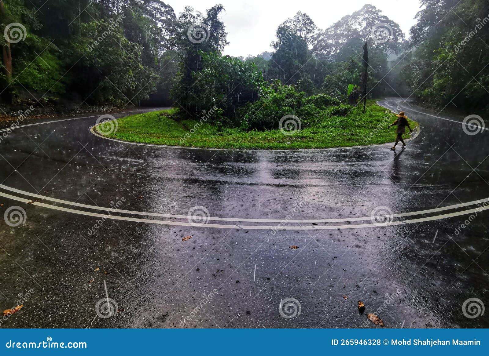 Objects and outdoor stock photo. Image of rain, objects - 265946328