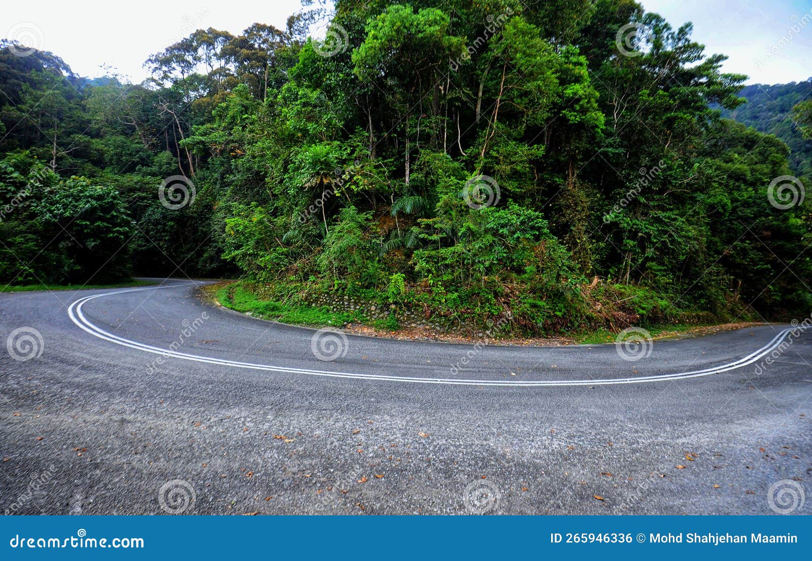 Objects and outdoor stock photo. Image of wallpaper - 265946336