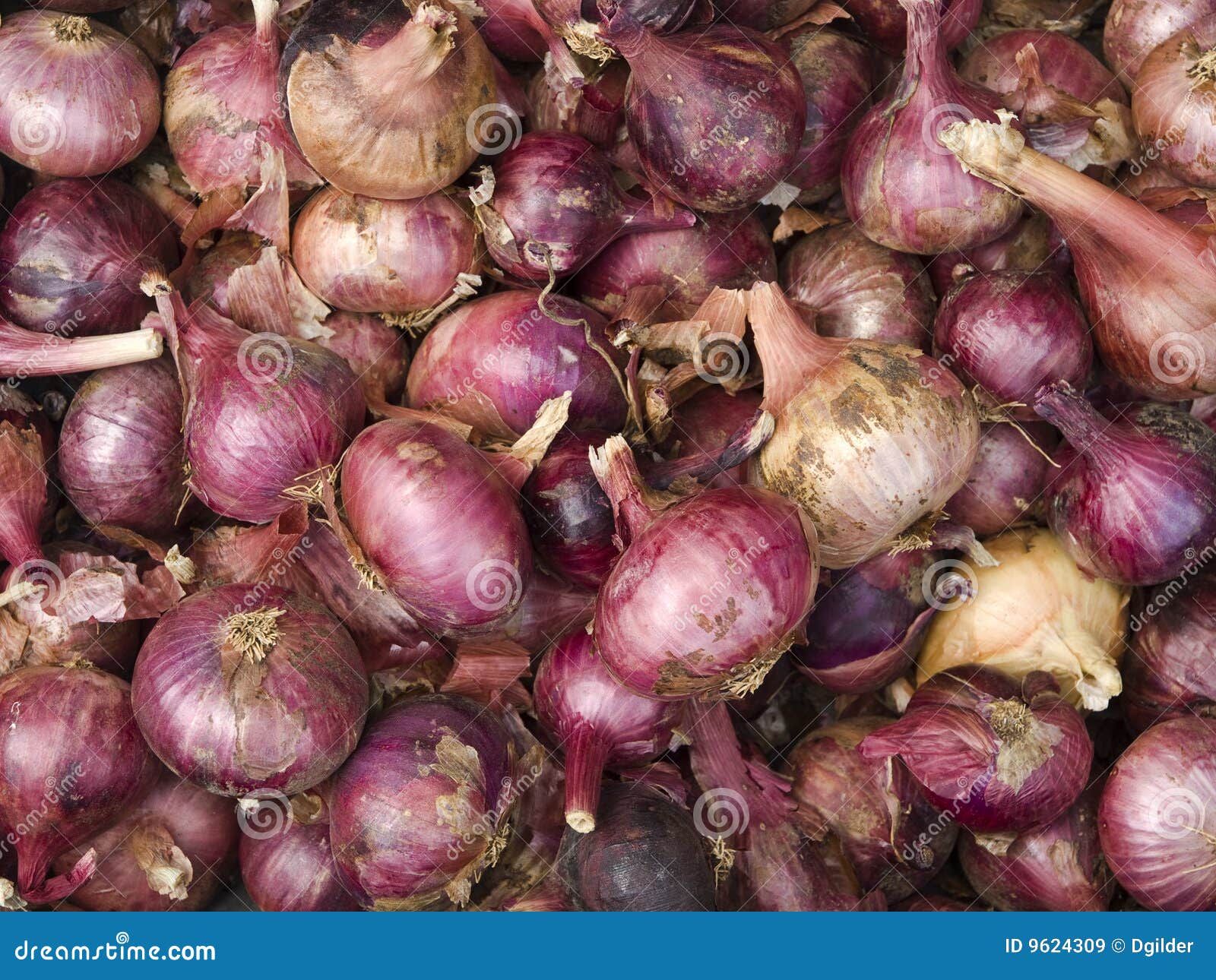 4,771 Objects Red Onion Background Stock Photos - Free & Royalty-Free ...