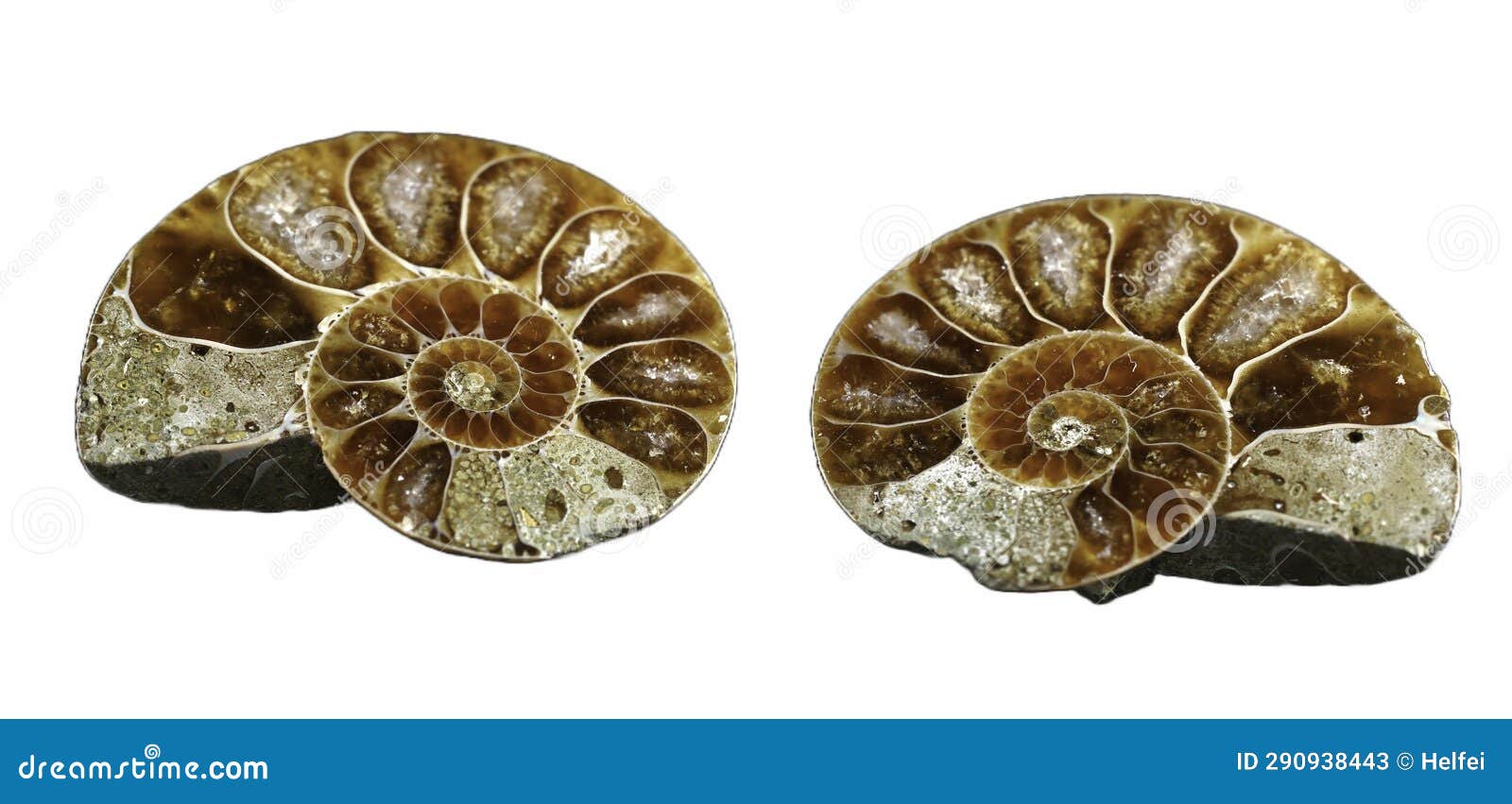 Objects Things Different and Isolated Against White Background Stock ...