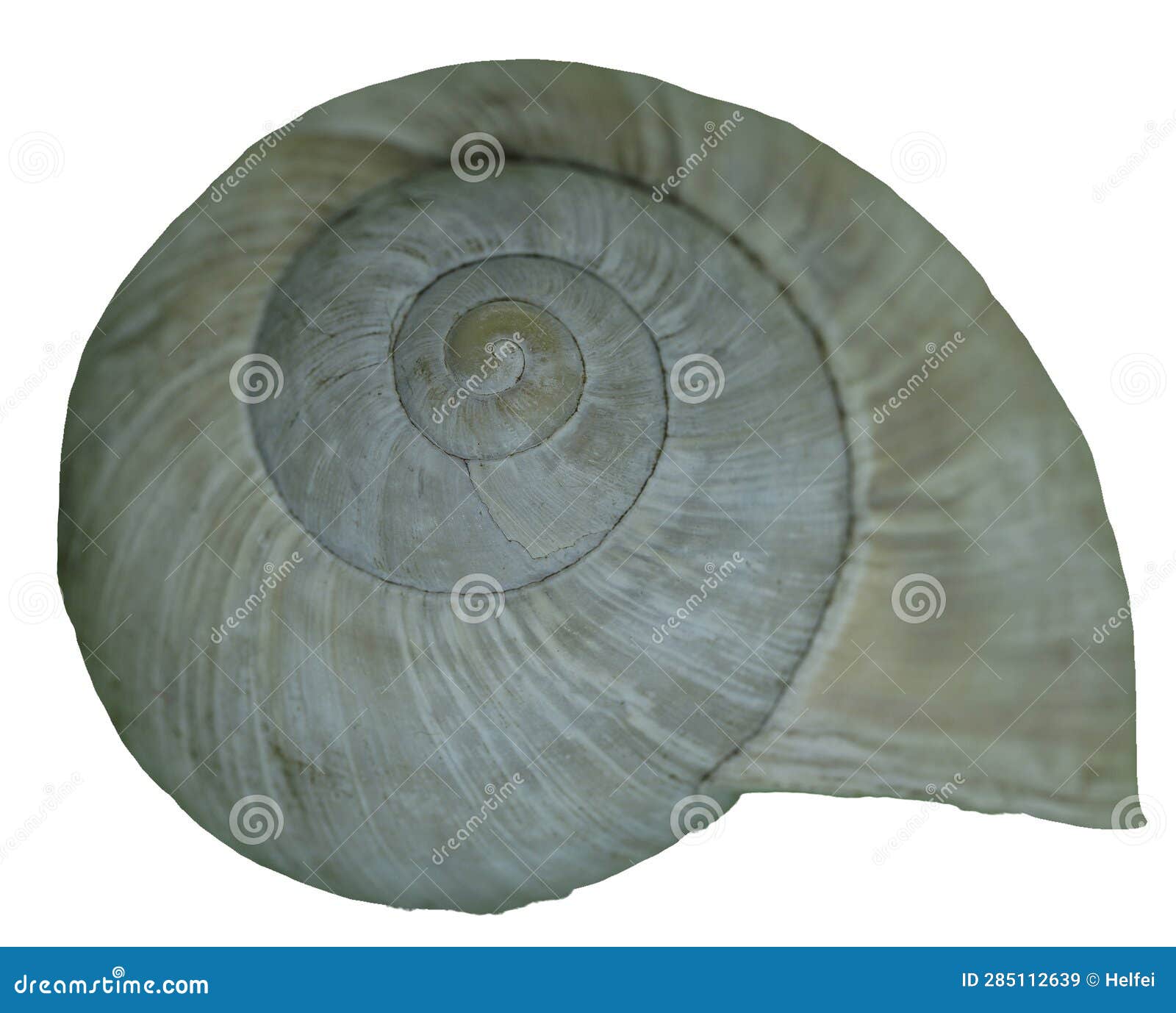 Objects Things Different Isolated and White Background Stock Image ...