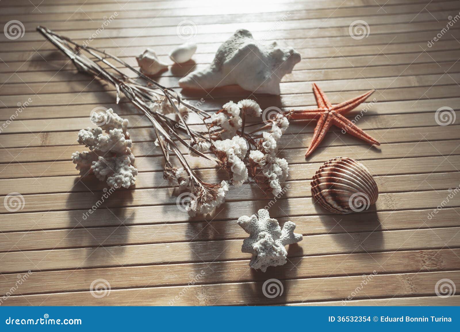 Objetos Del Mar En El Fondo De Madera. Foto de archivo - Imagen de ...