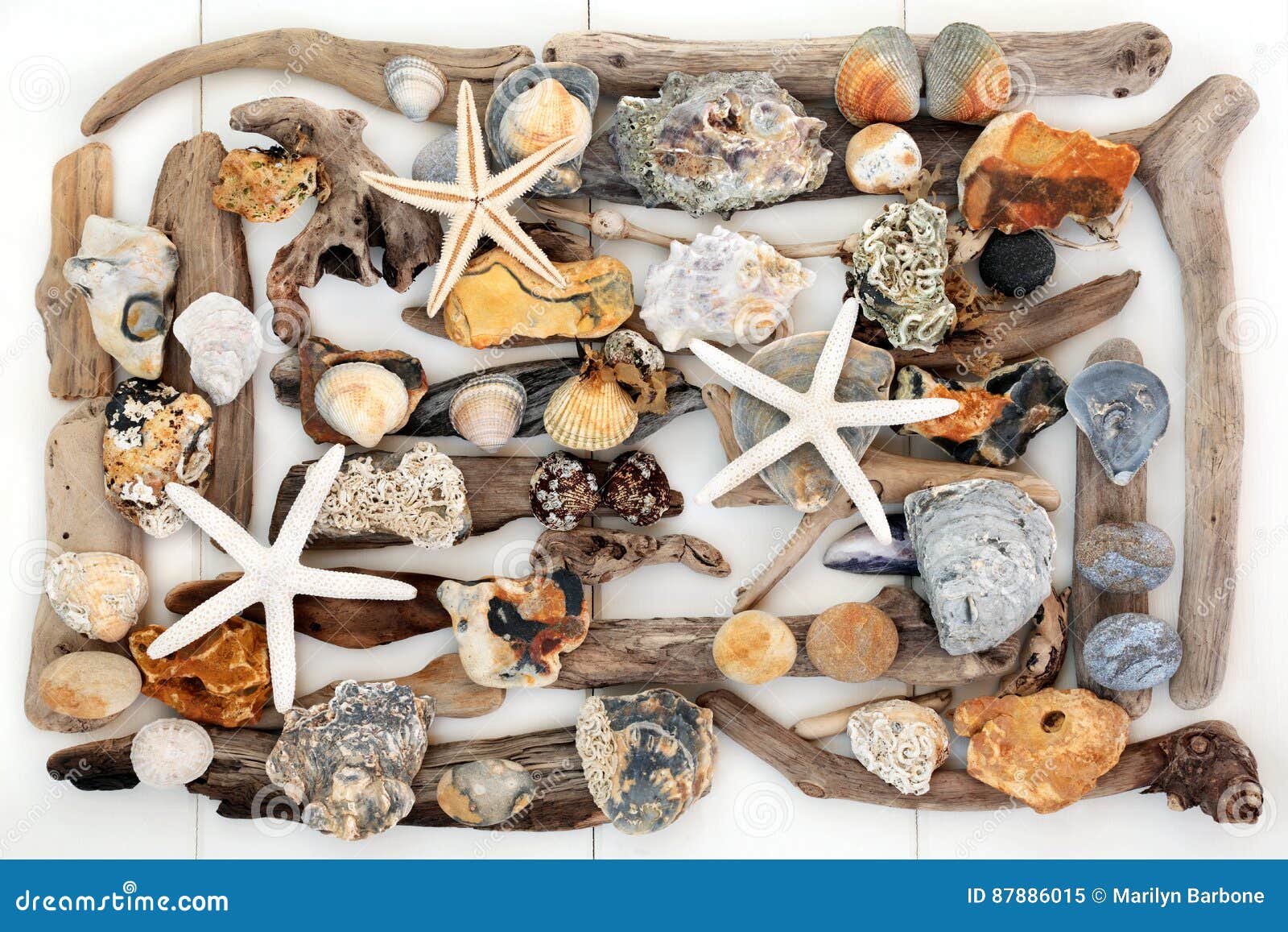 Objetos Naturales De La Playa Imagen de archivo - Imagen de playa, roca ...