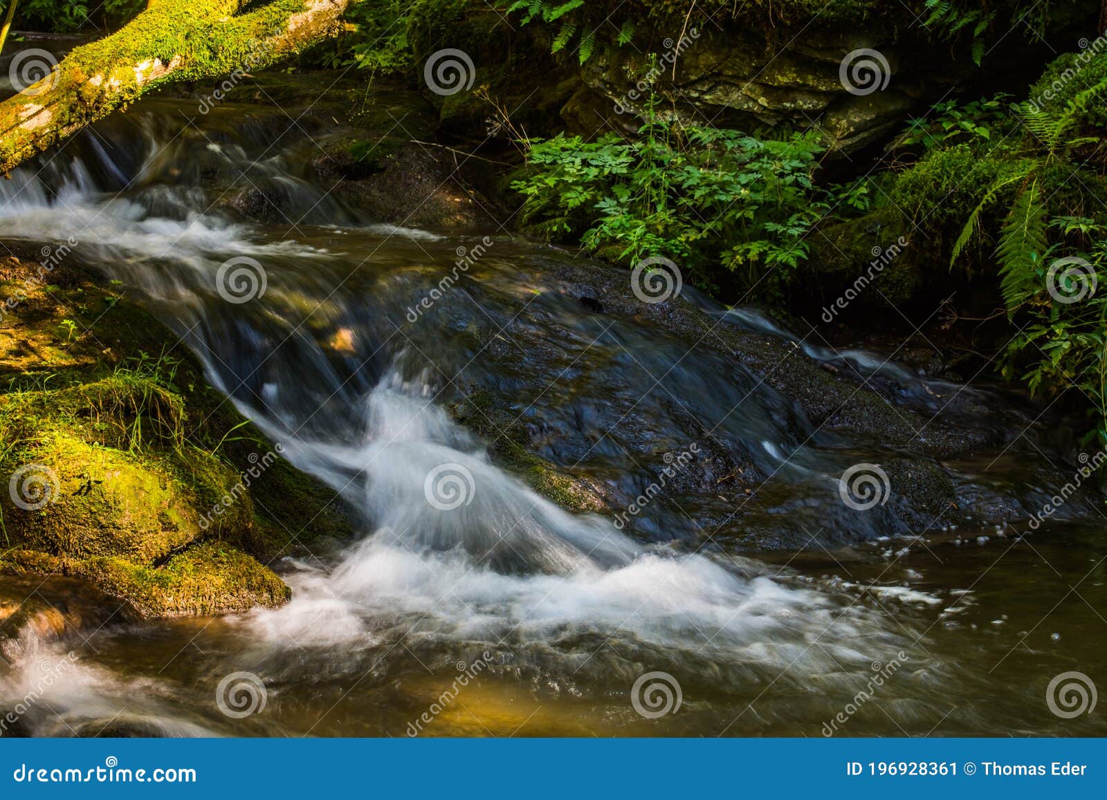 Oblique Step with Water in a Brook Stock Image - Image of move ...