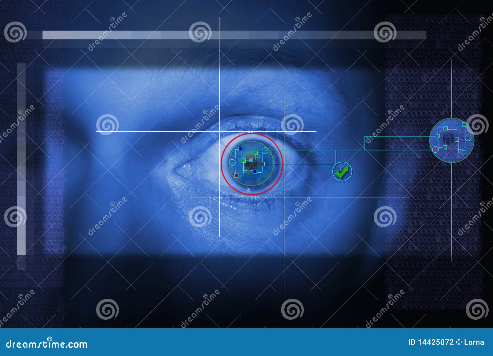 Obraz Cyfrowy Irysowa Ochrona Zdjęcie Stock - Obraz złożonej z ...
