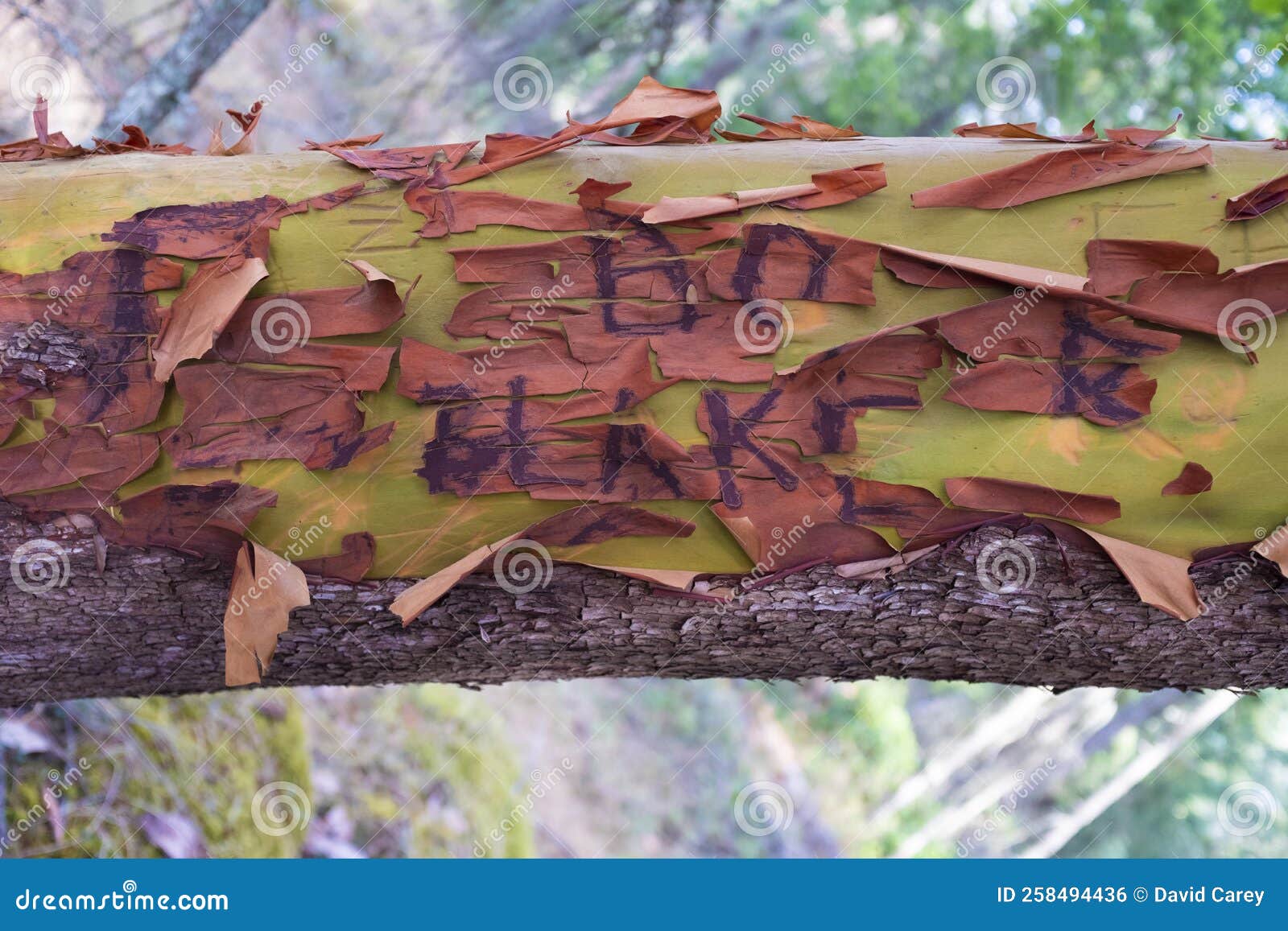 Obscure message stock photo. Image of inscrutable, obscure - 258494436