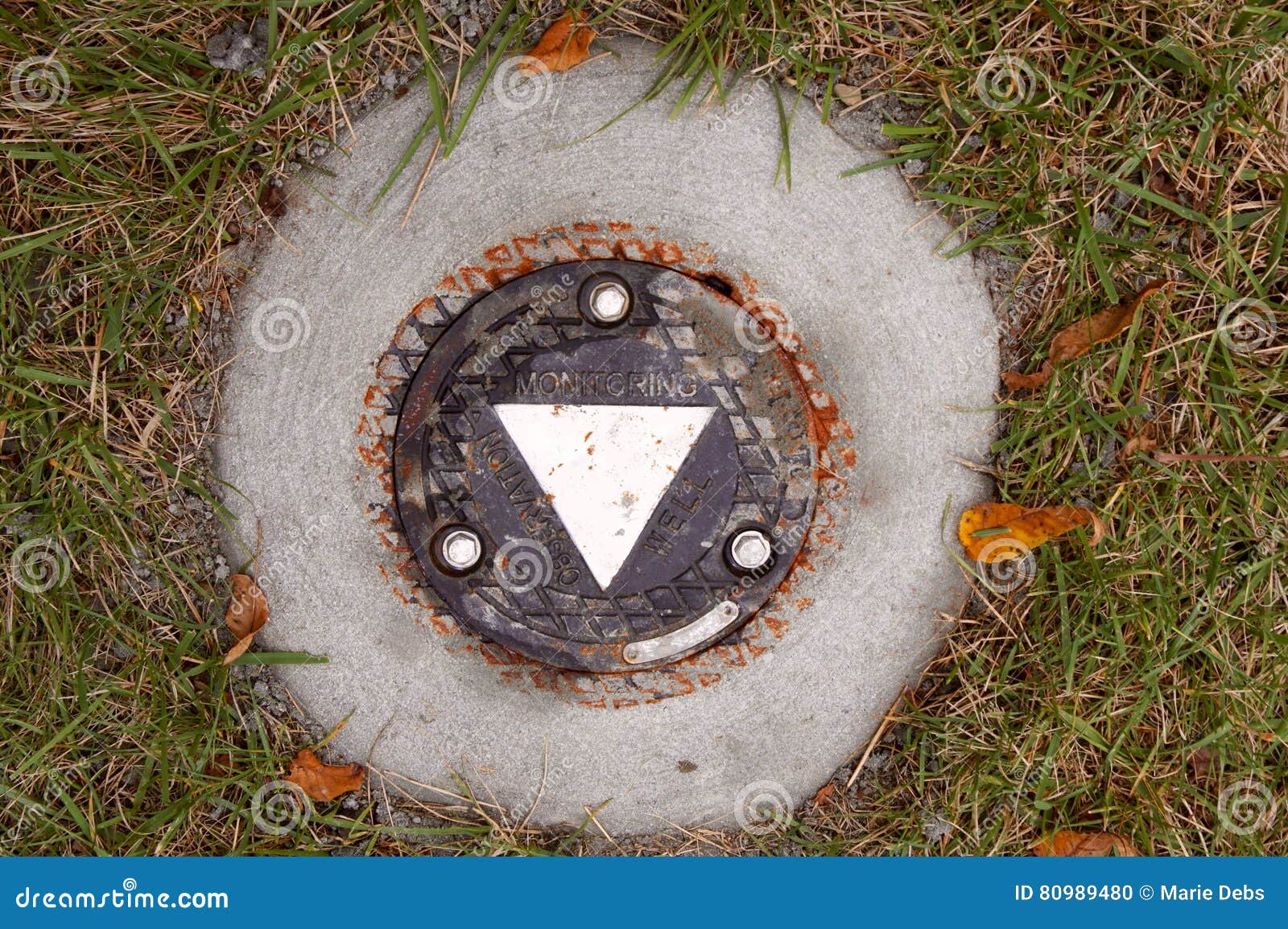 Observation Cover stock photo. Image of ground, leaves - 80989480