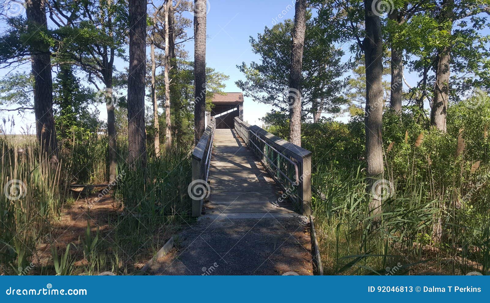 Observation deck stock image. Image of eastern, refuge - 92046813