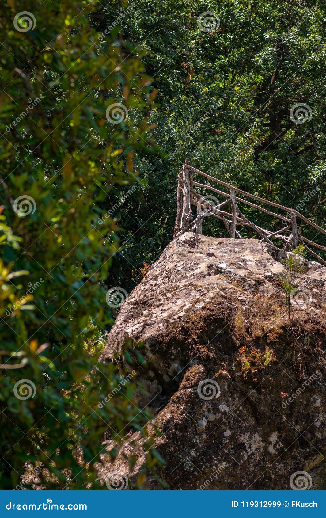 Observation Deck on a Rock in the Forest Stock Image - Image of ...