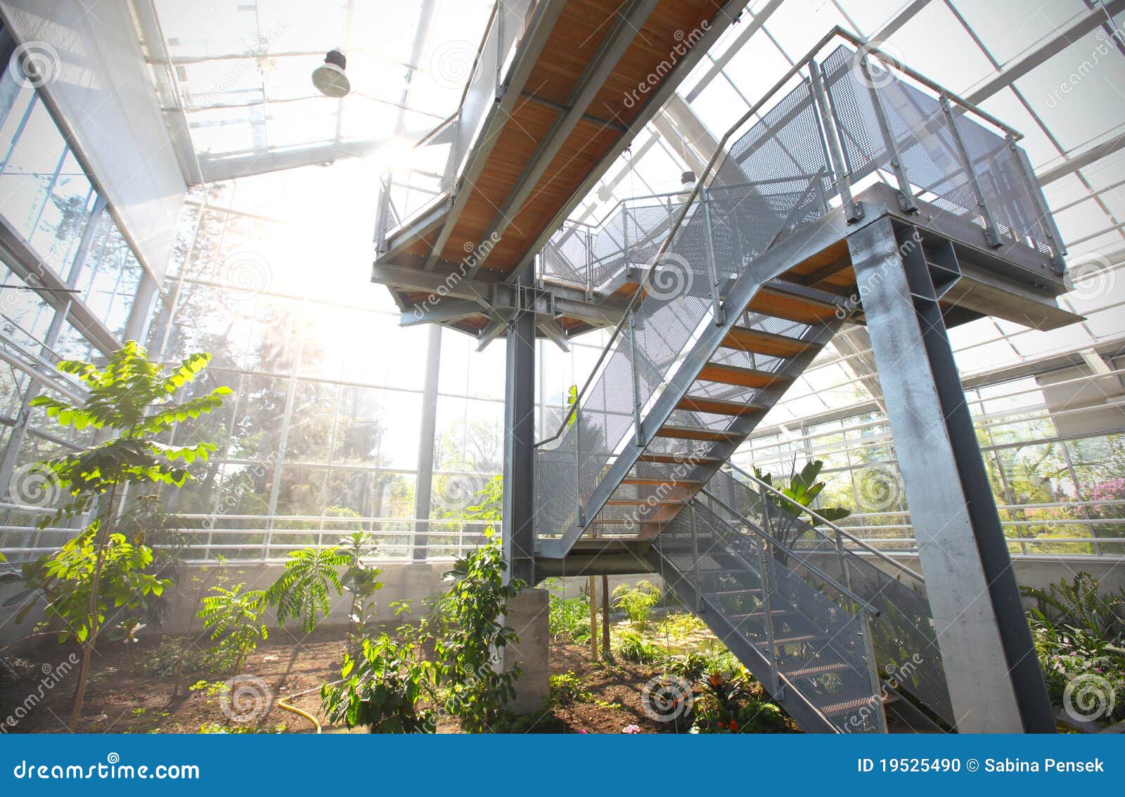 Observation Platform at the Greenhouse Stock Photo - Image of solar ...