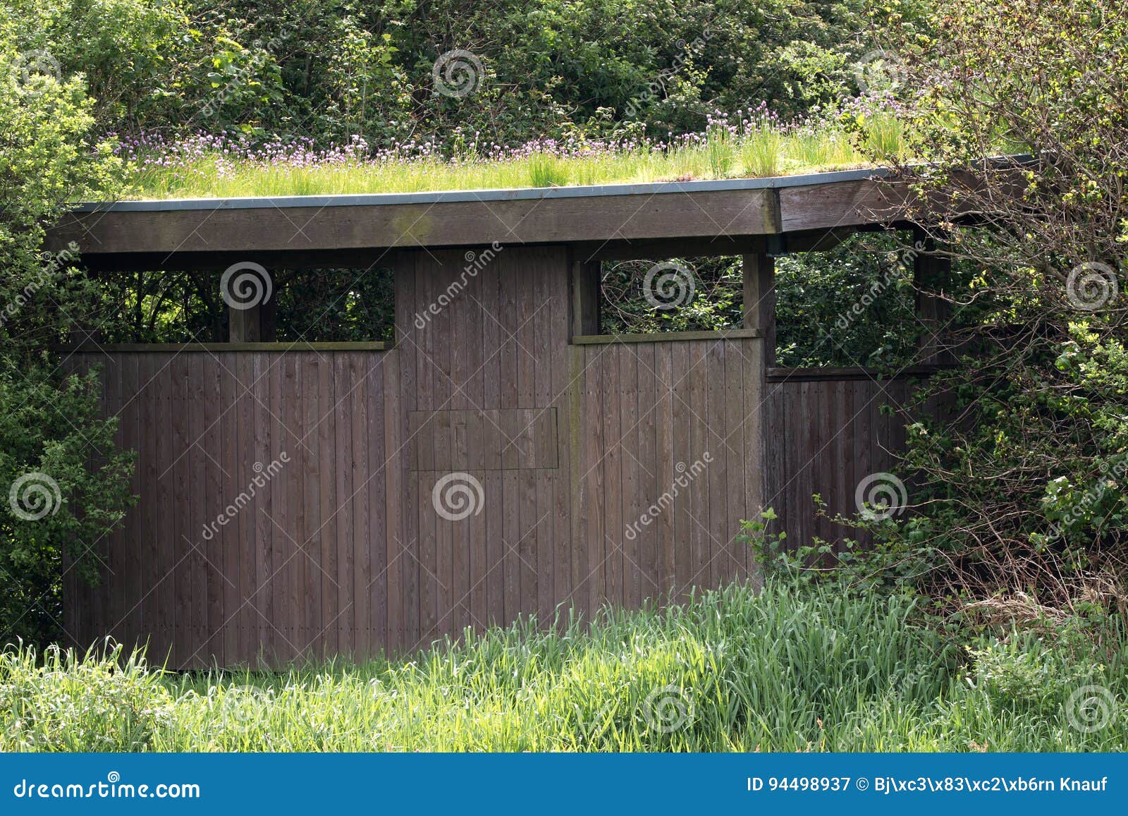 Observation post stock image. Image of wooden, tree, observation - 94498937