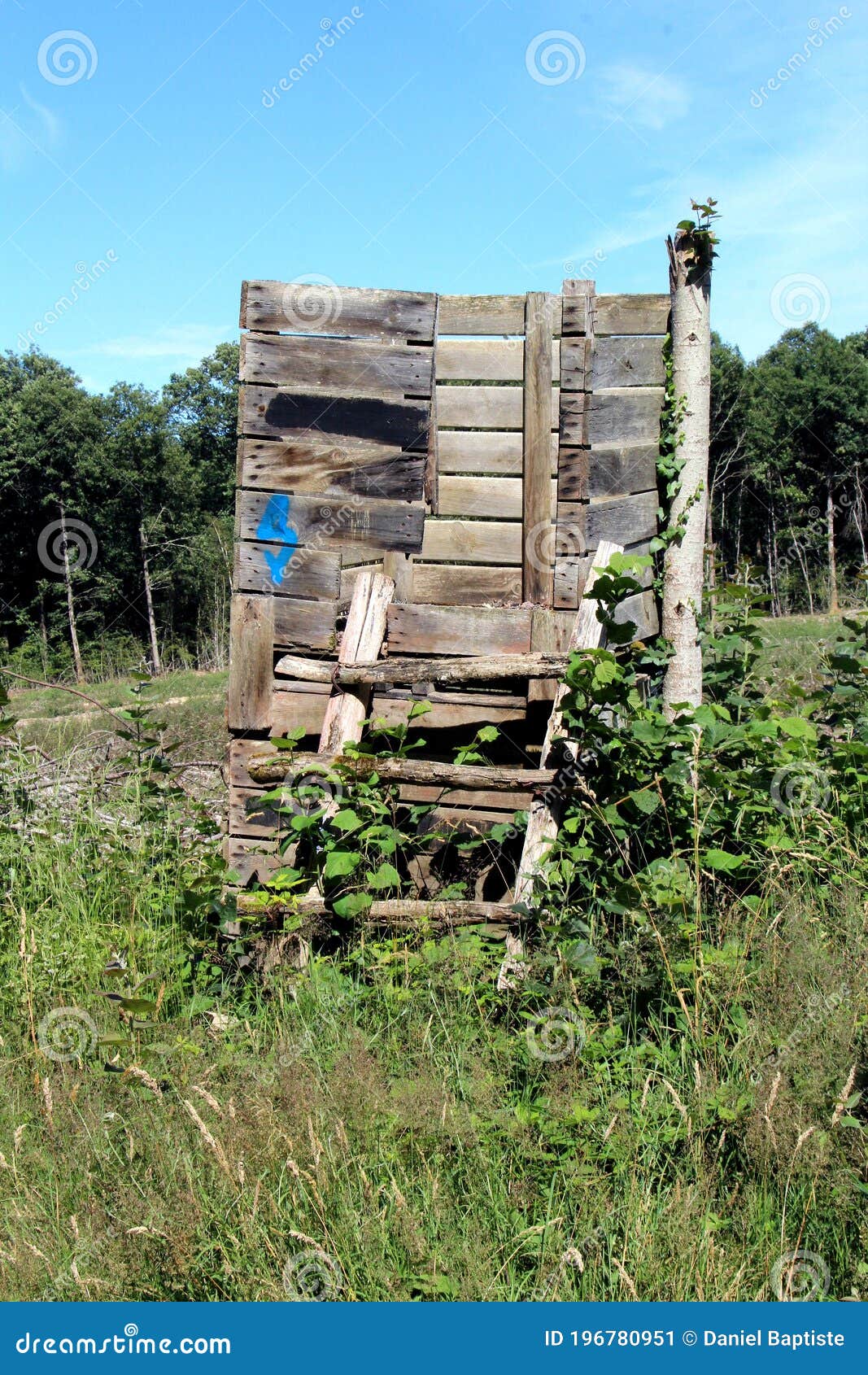Observation post stock image. Image of forest, trees - 196780951