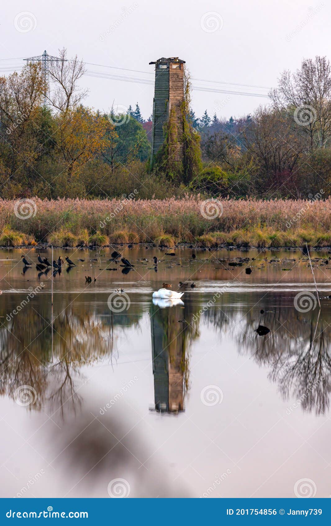 Observation Tower in a Nature Reserve with Reflection in a Lake Stock ...